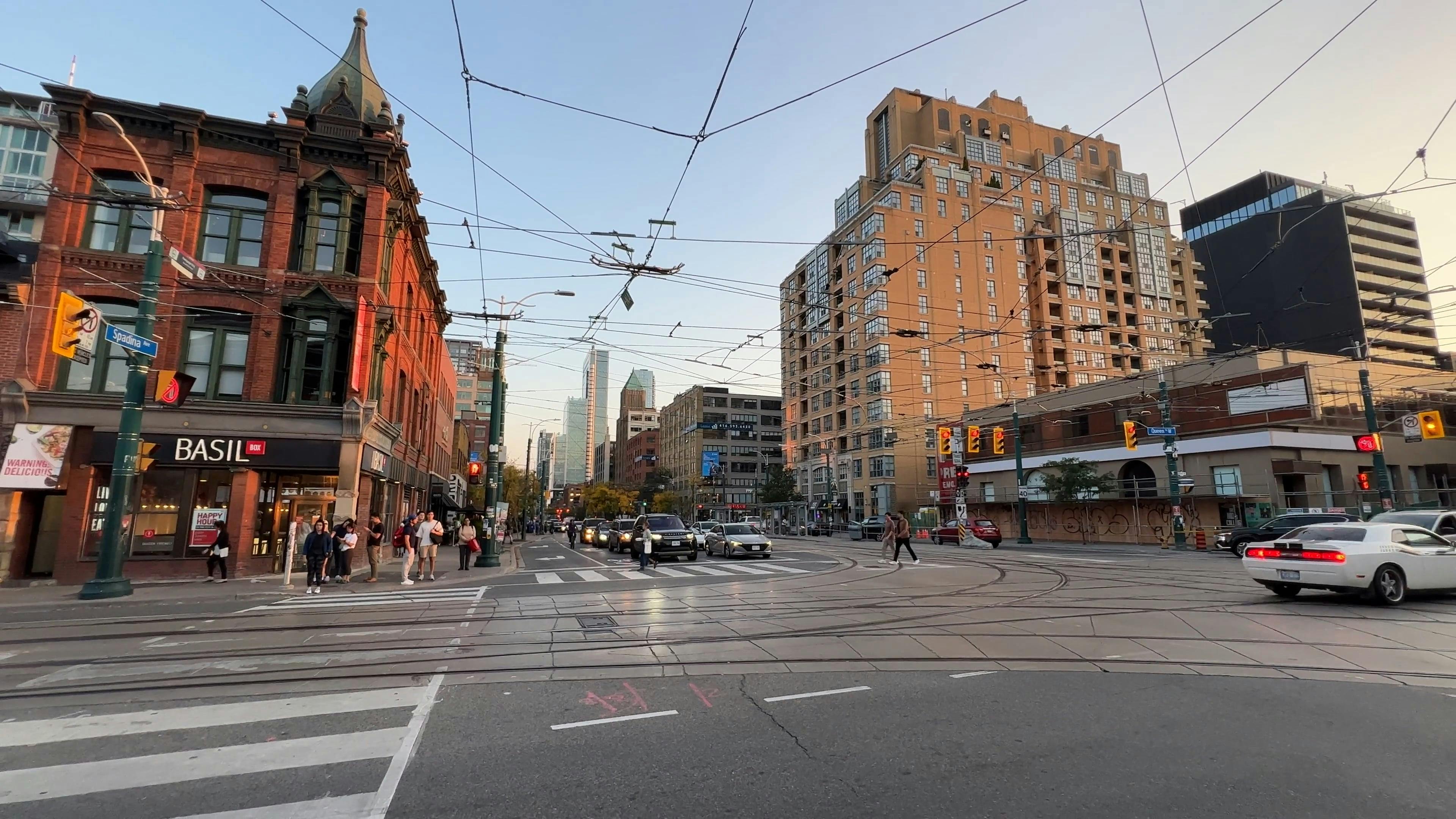 Basil Signage Videos, Download The BEST Free 4k Stock Video Footage ...