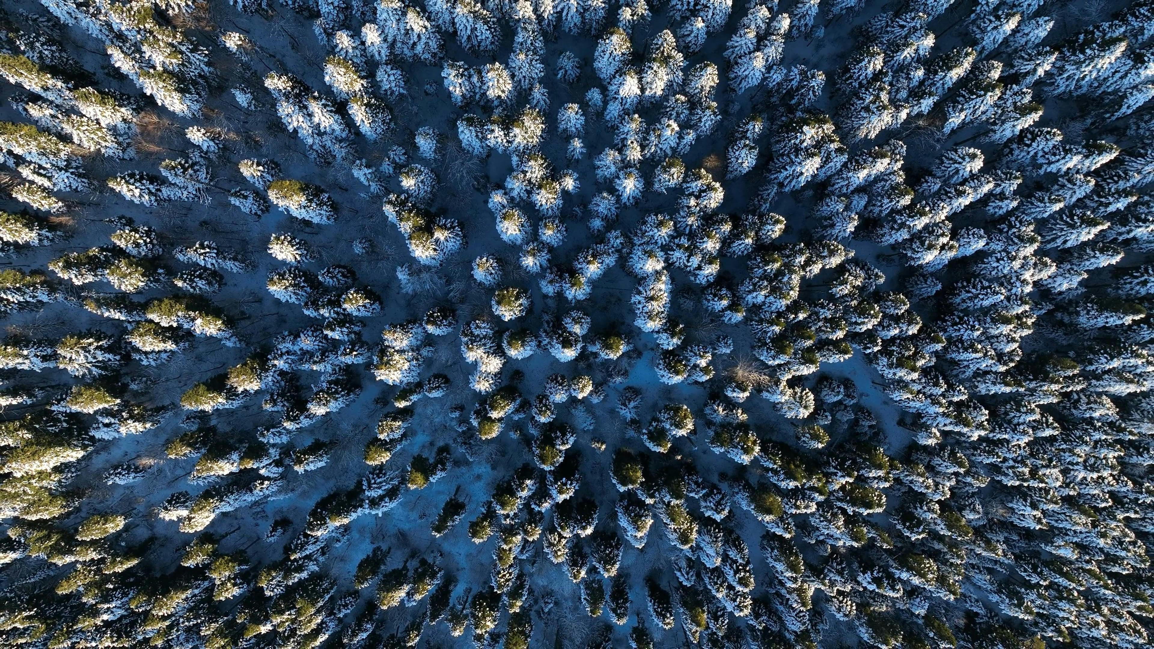 Bolu Texture Videos, Download The BEST Free 4k Stock Video Footage ...