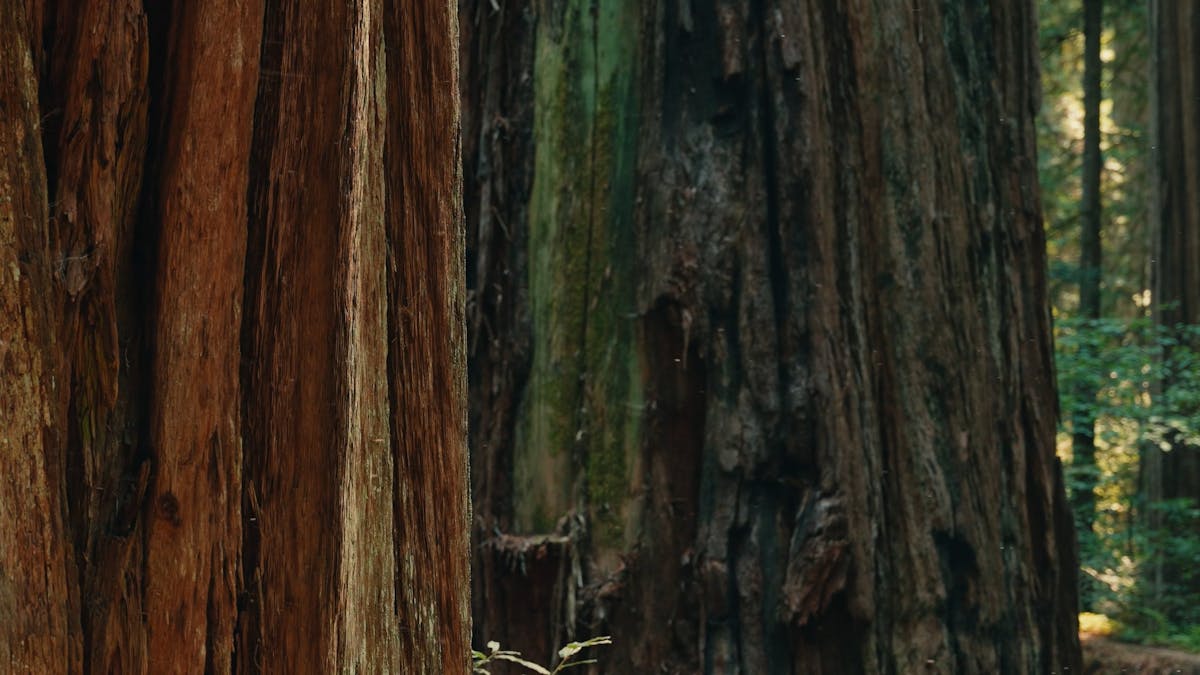 Free B Roll Videos, Download The BEST Free 4k Stock Video Footage ...