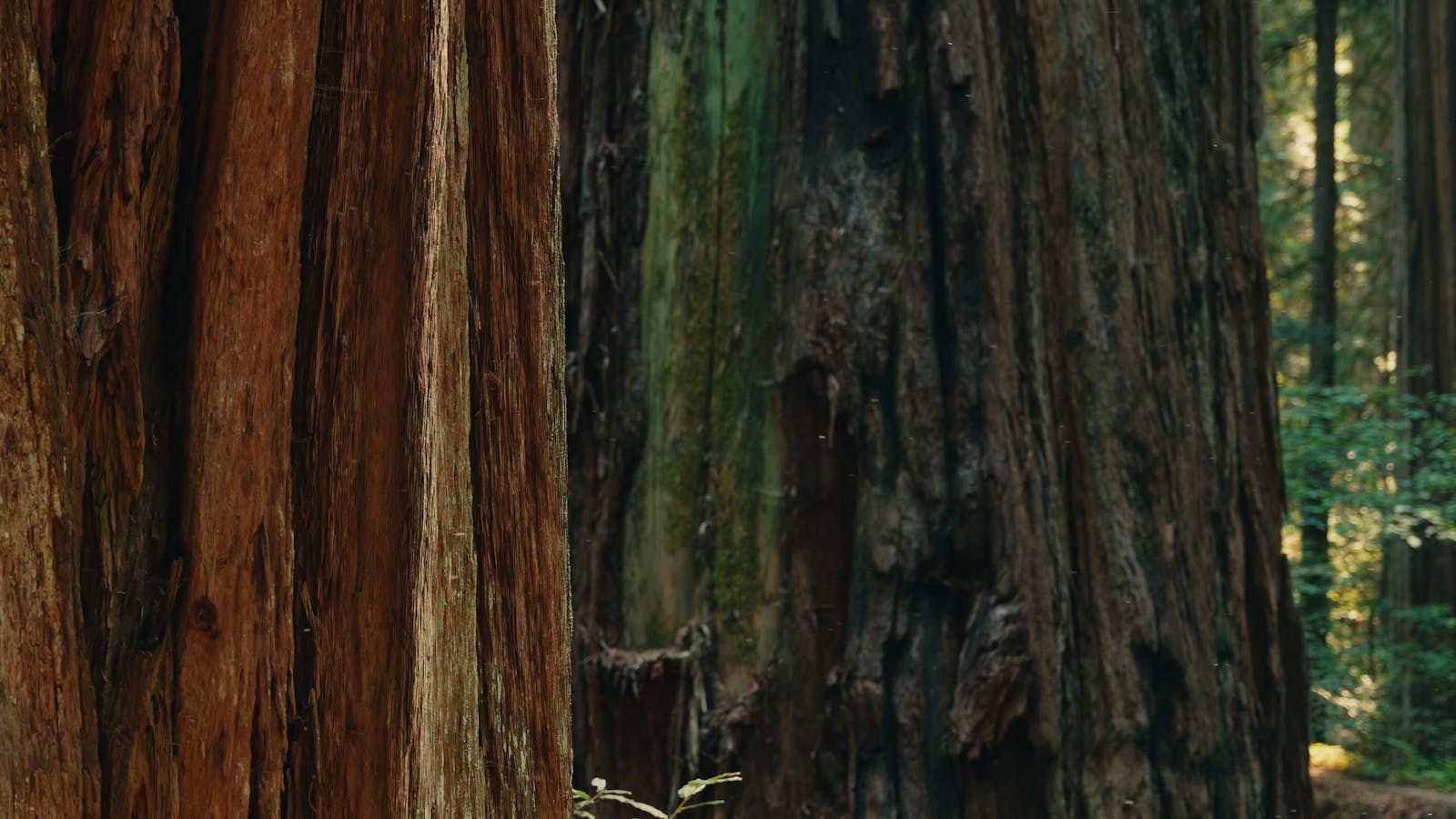 Free B Roll Videos, Download The BEST Free 4k Stock Video Footage ...