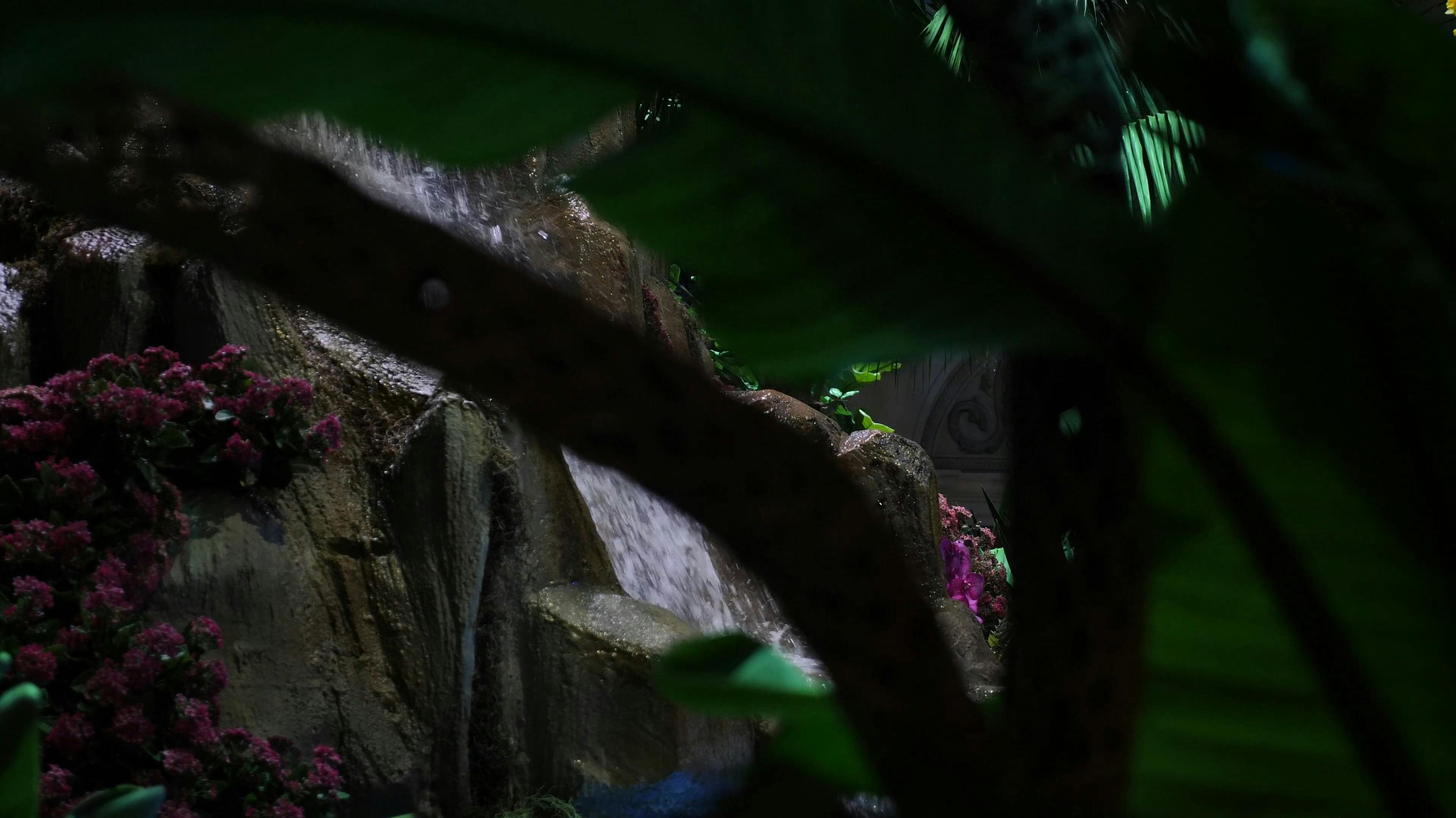 Amazon Plants Videos, Download The BEST Free 4k Stock Video Footage ...