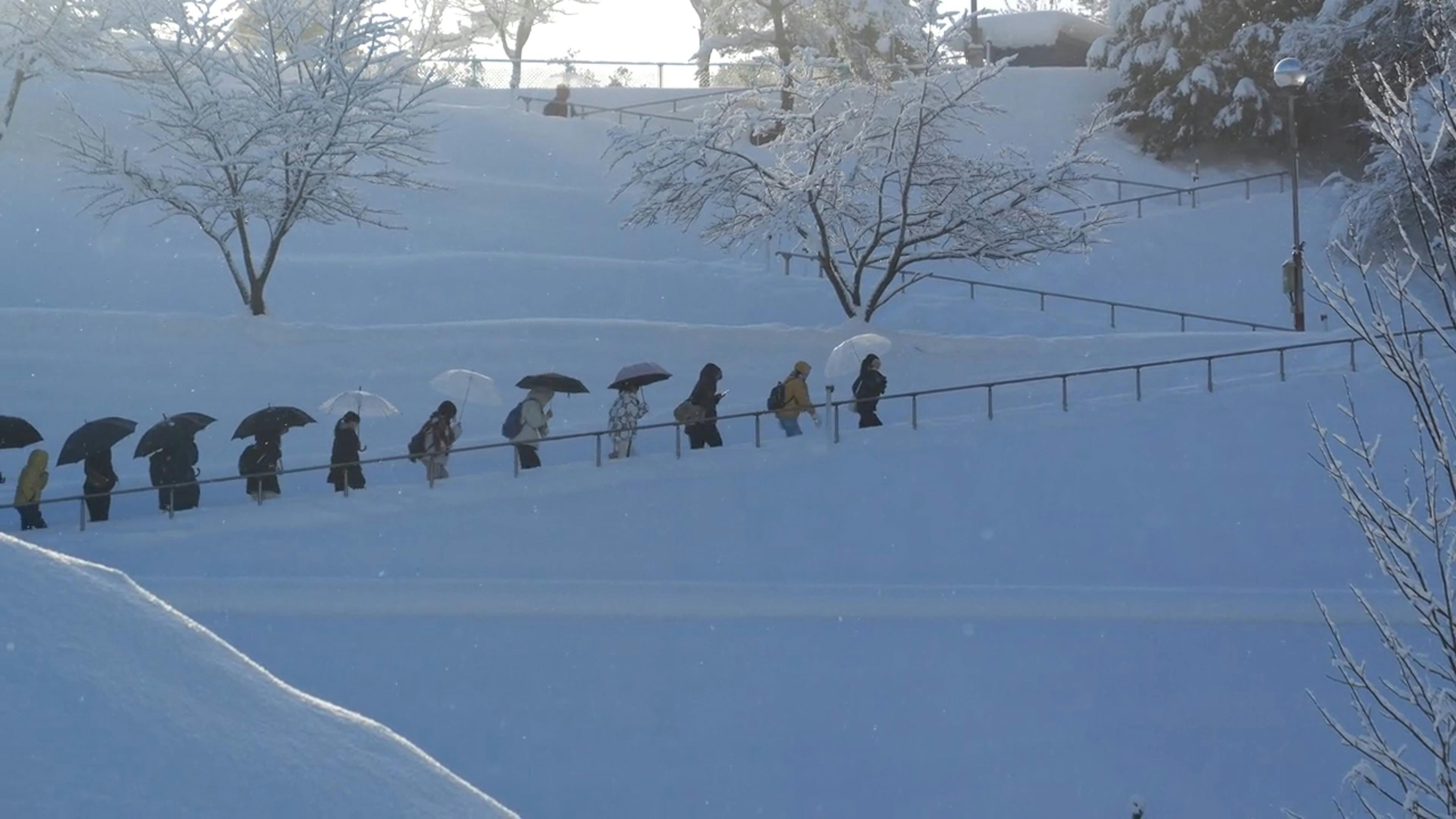 Kyoto Winter Videos, Download The BEST Free 4k Stock Video Footage ...