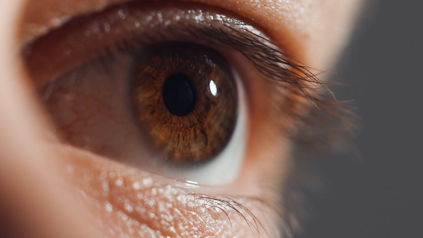 Eye Anatomy Videos, Download The BEST Free 4k Stock Video Footage & Eye ...