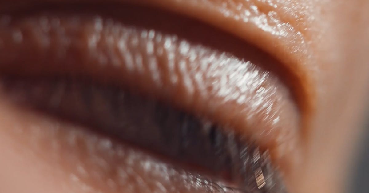 Eye close up - macro Free Stock Video Footage, Royalty-Free 4K & HD ... Eye close up - macro Free Stock Video Footage, Royalty-Free 4K & HD ...