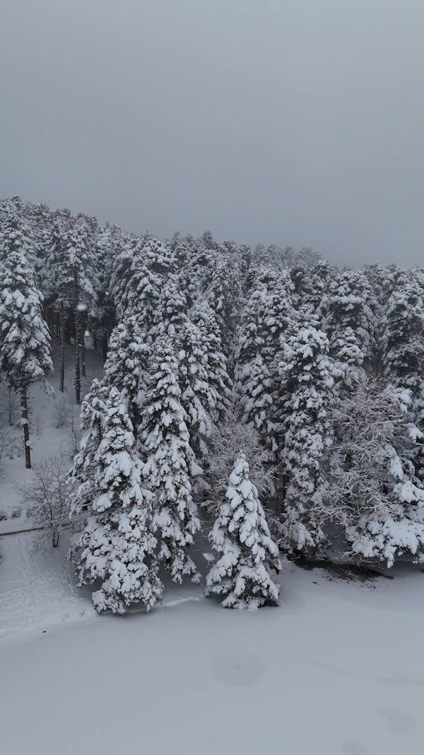 Downfall Videos, Download The BEST Free 4k Stock Video Footage ...