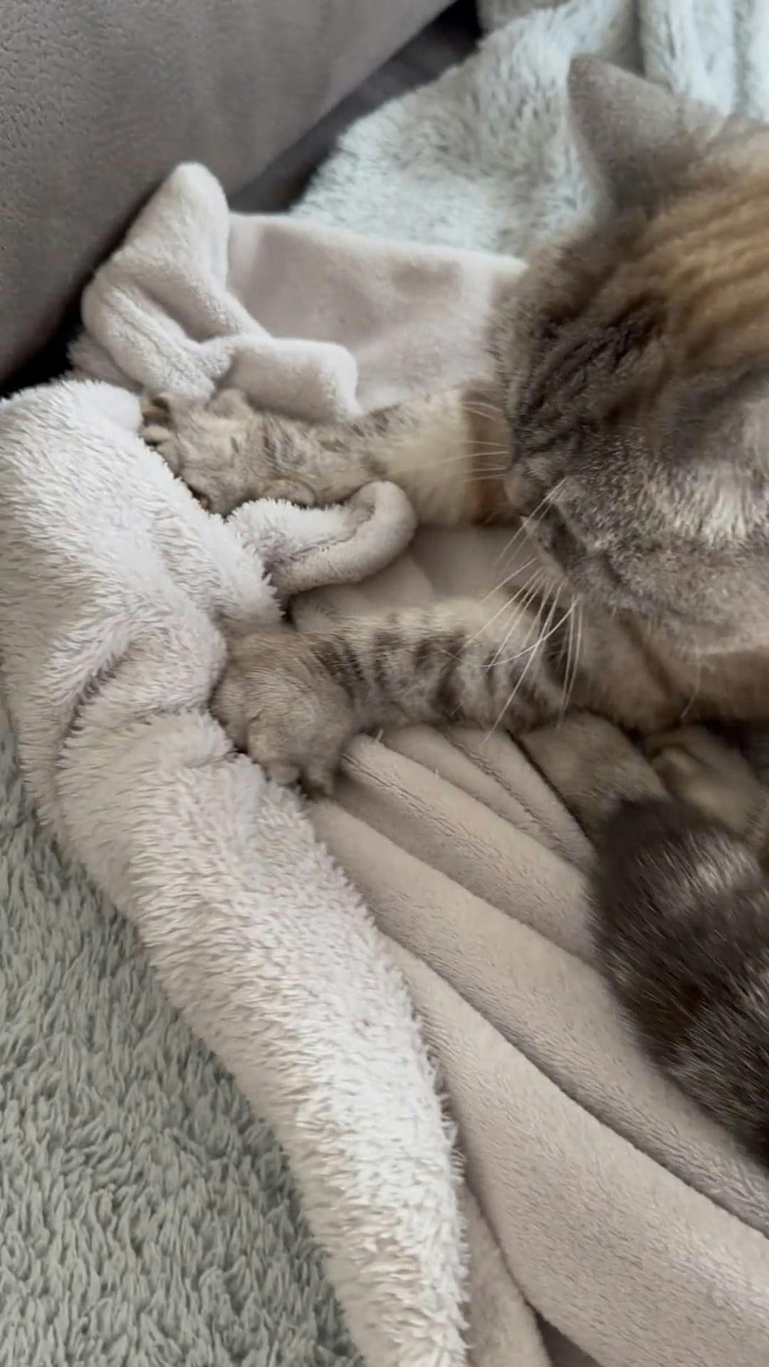 Lazy Baby Videos, Download The BEST Free 4k Stock Video Footage & Lazy ...