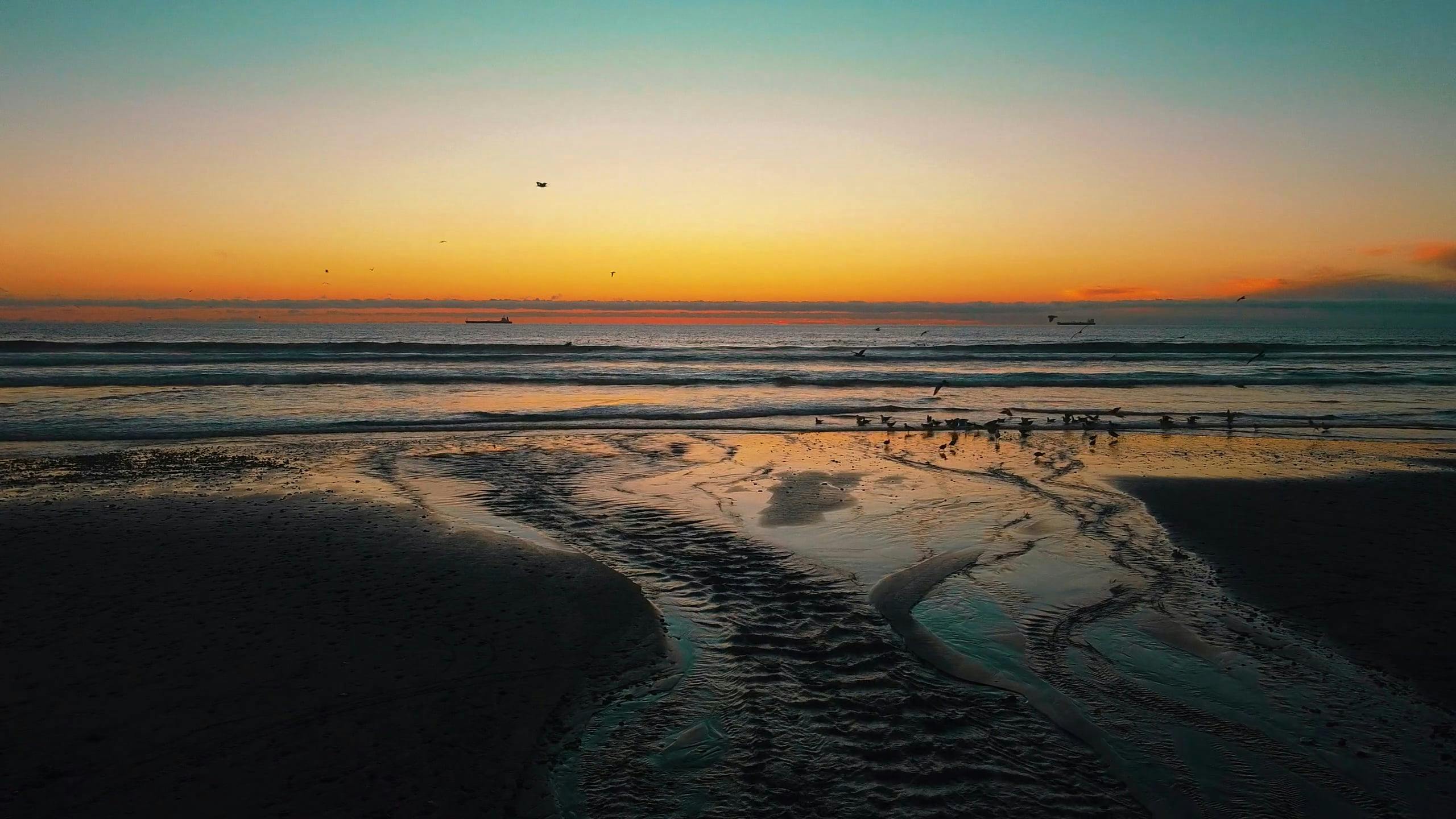 Tijuana Videos, Download The BEST Free 4k Stock Video Footage & Tijuana ...