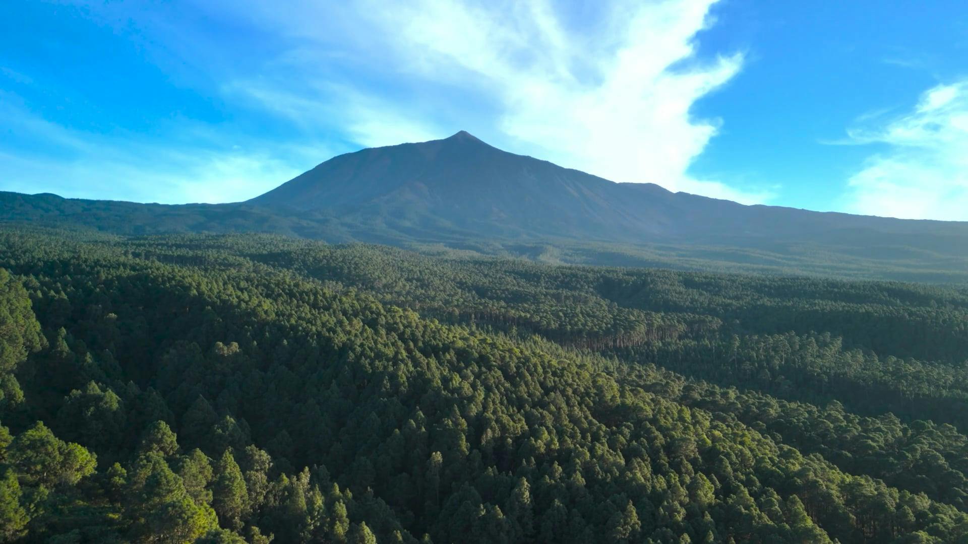 Volcano and Forest nature Free Stock Video Footage, Royalty-Free 4K ...