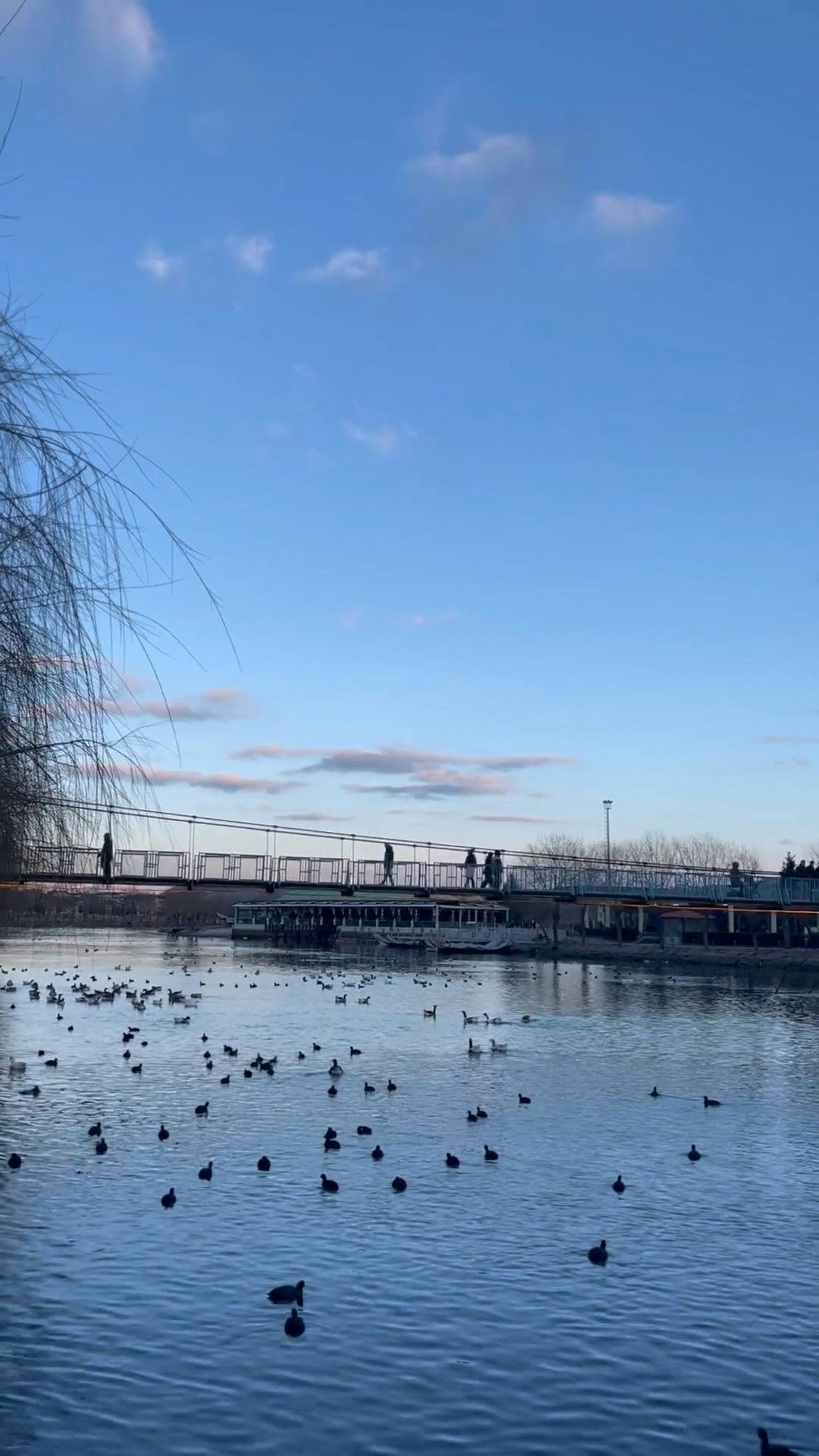 Temp Videos, Download The BEST Free 4k Stock Video Footage & Temp HD ...