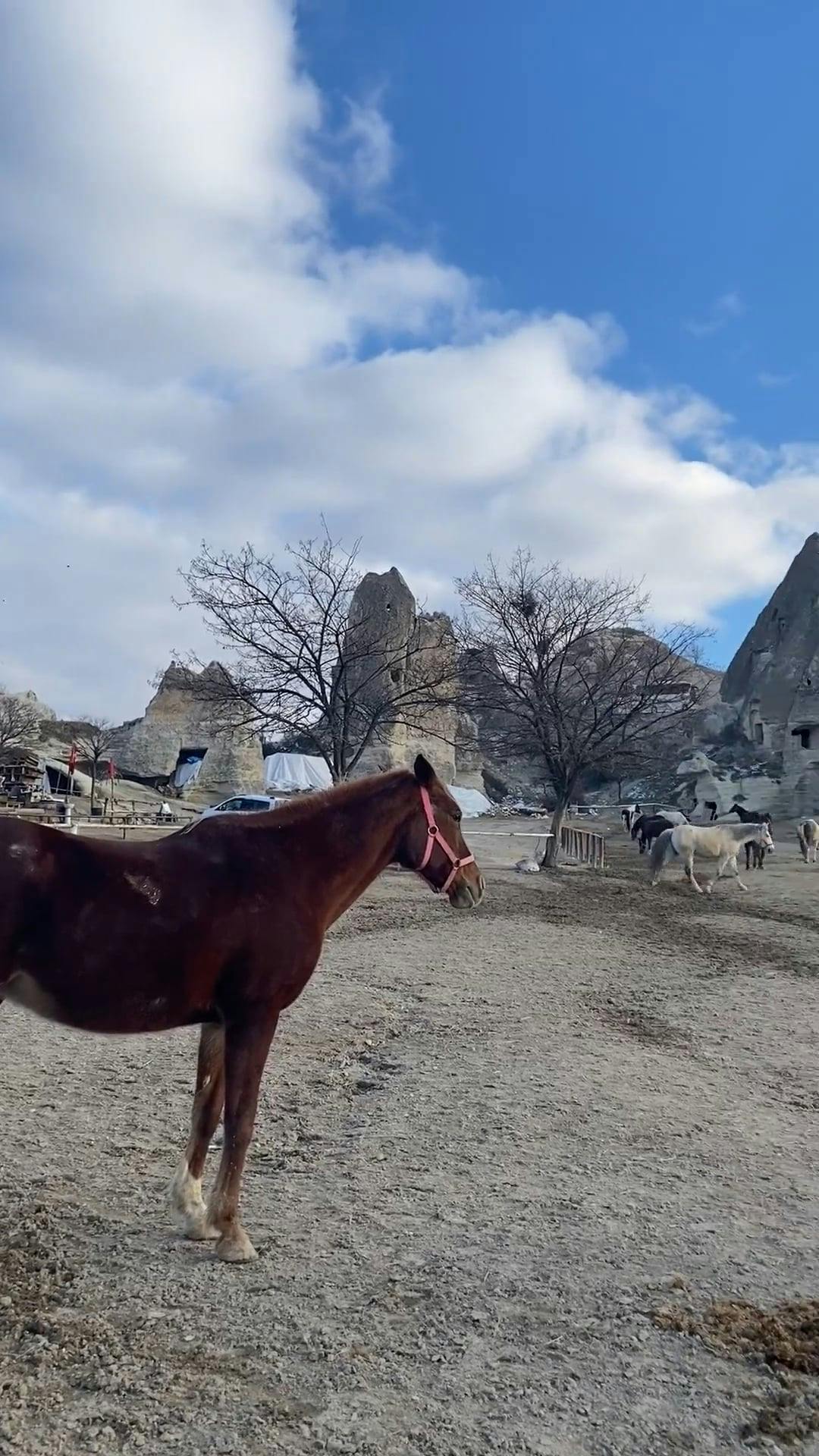 Tuff Formations Videos, Download The BEST Free 4k Stock Video Footage ...