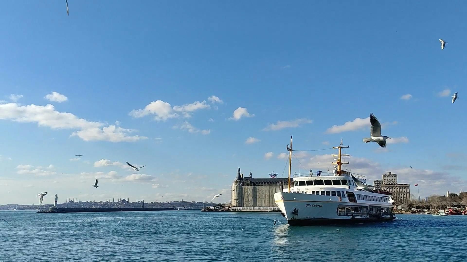 zeynep arslan – Fotografia