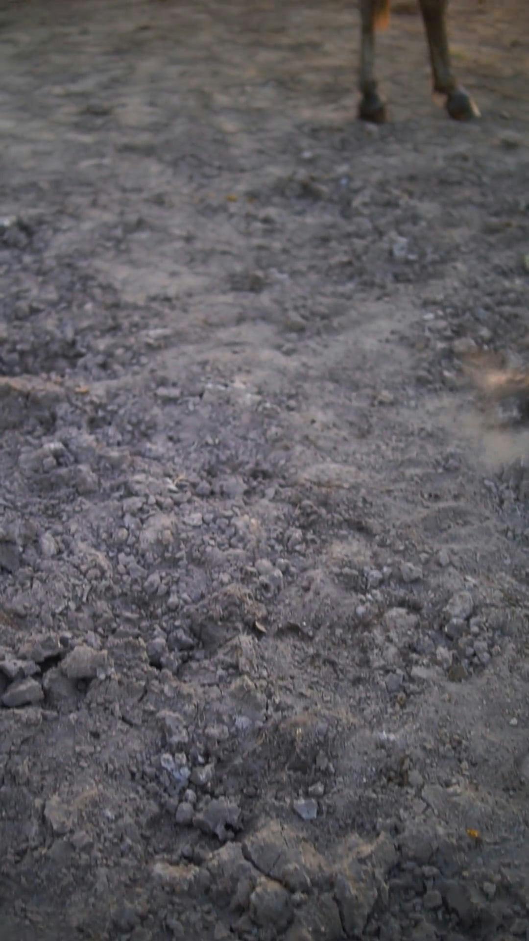 Emre Kekilli - Photography