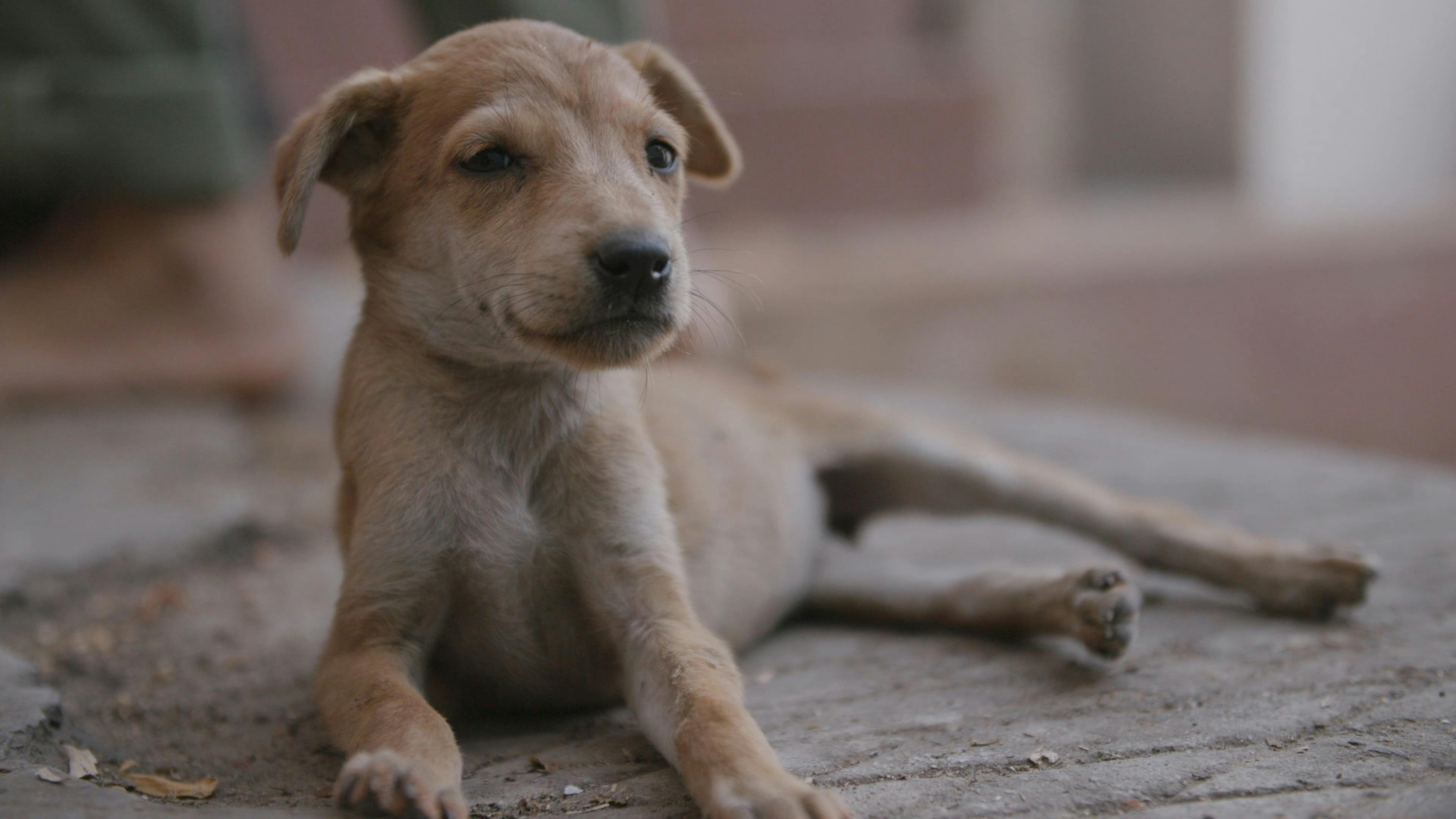 Eye Static Videos, Download The BEST Free 4k Stock Video Footage & Eye ...