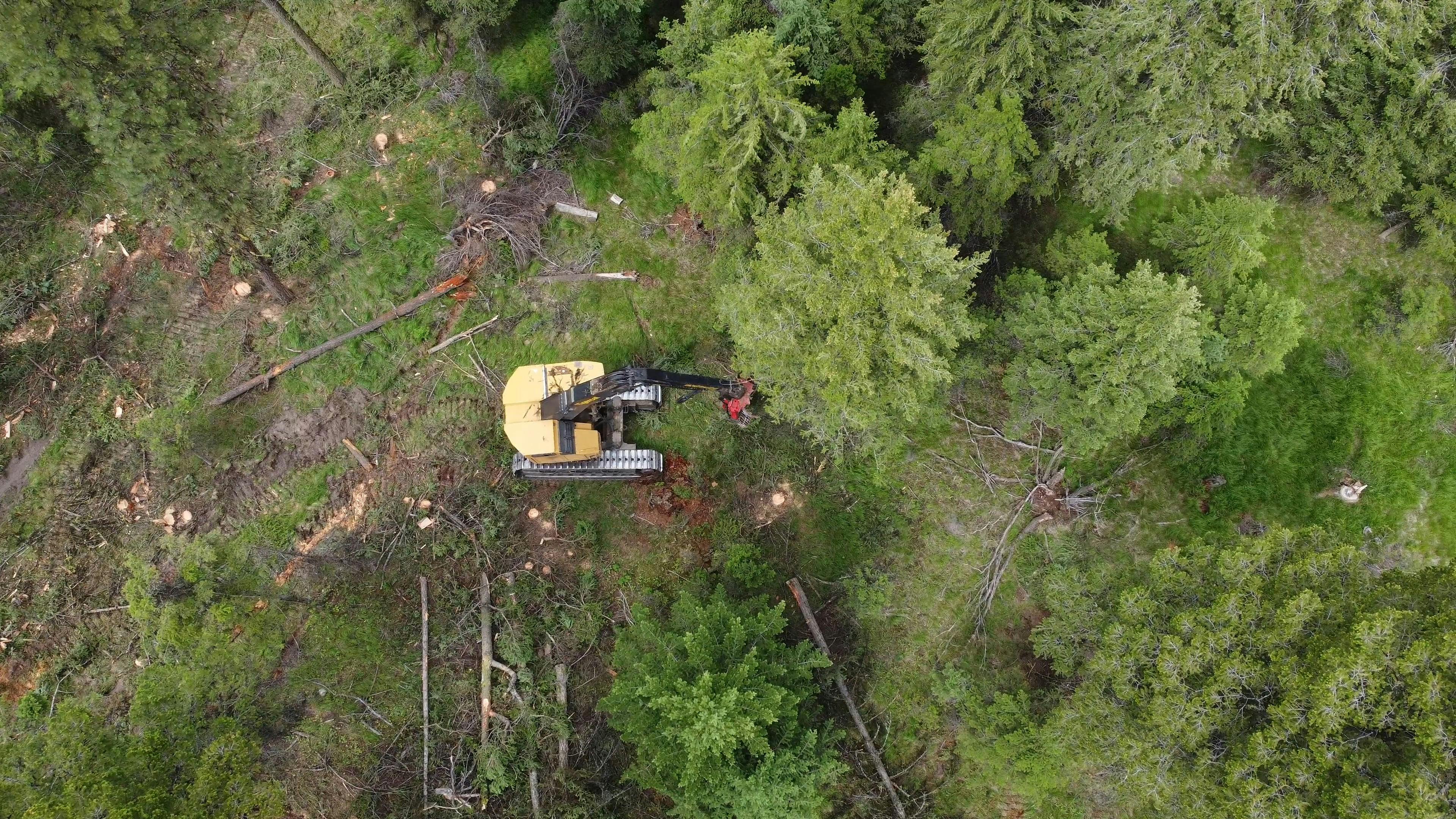 Logging Machinery Videos, Download The BEST Free 4k Stock Video Footage ...