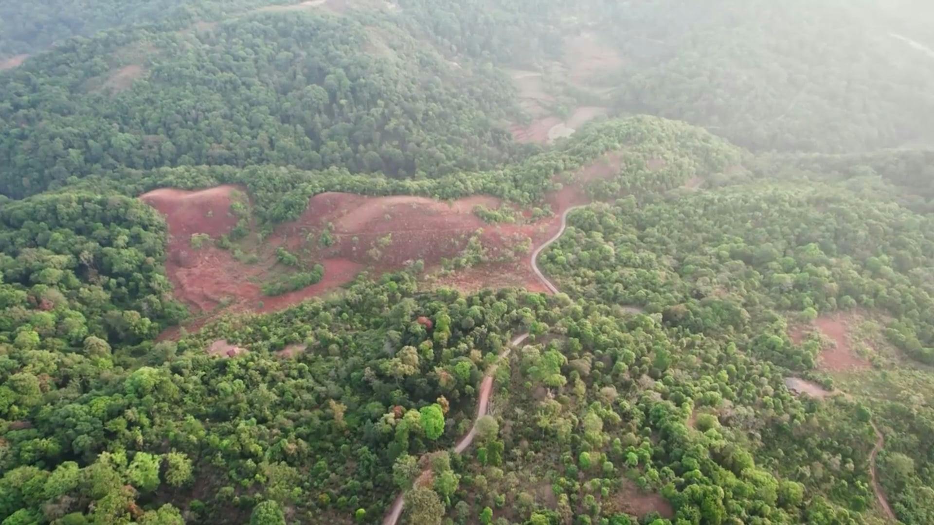 Amazing Sky View, Greenland Forest Free Stock Video Footage, Royalty ...