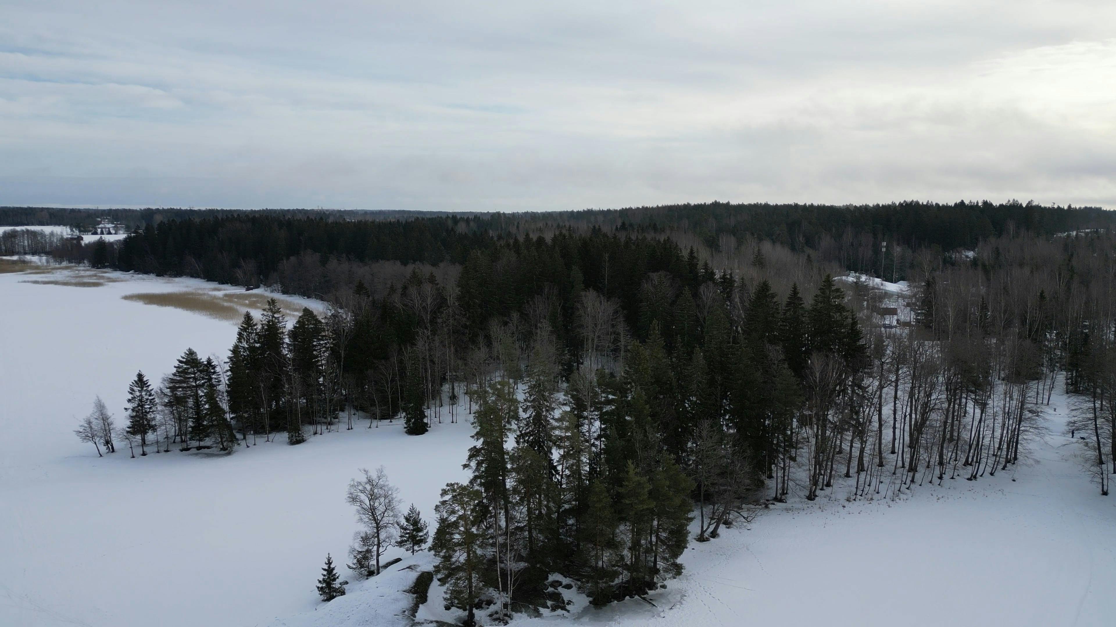 Videos Snow Videos, Download The BEST Free 4k Stock Video Footage ...