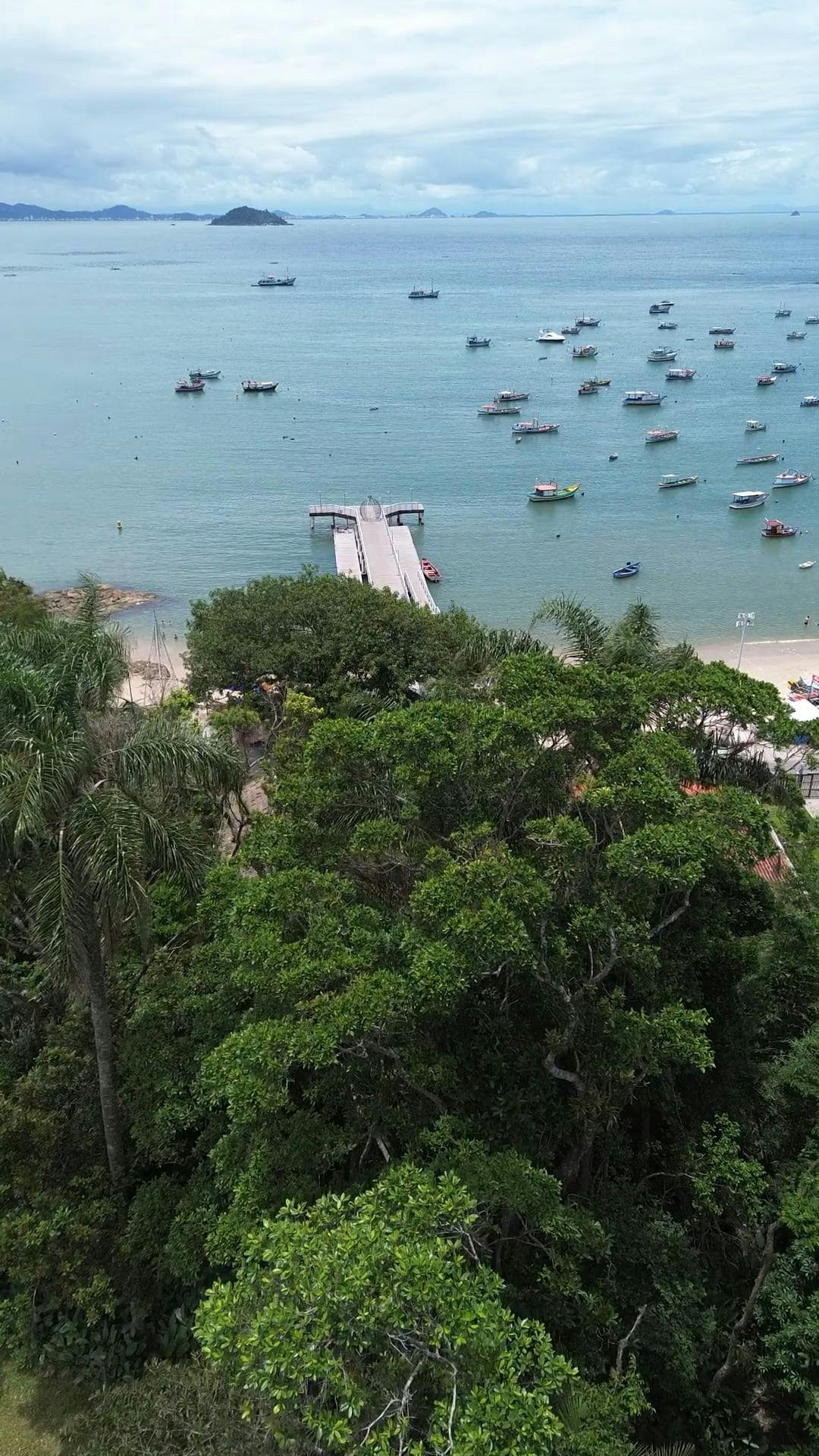 Summer Is Here Videos, Download The BEST Free 4k Stock Video Footage ...