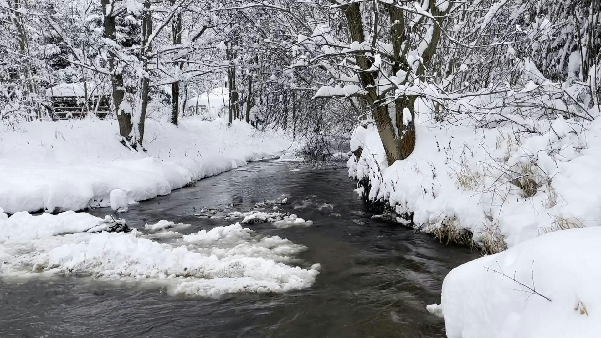 A stream in the woods covered in snow Free Stock Video Footage, Royalty ...