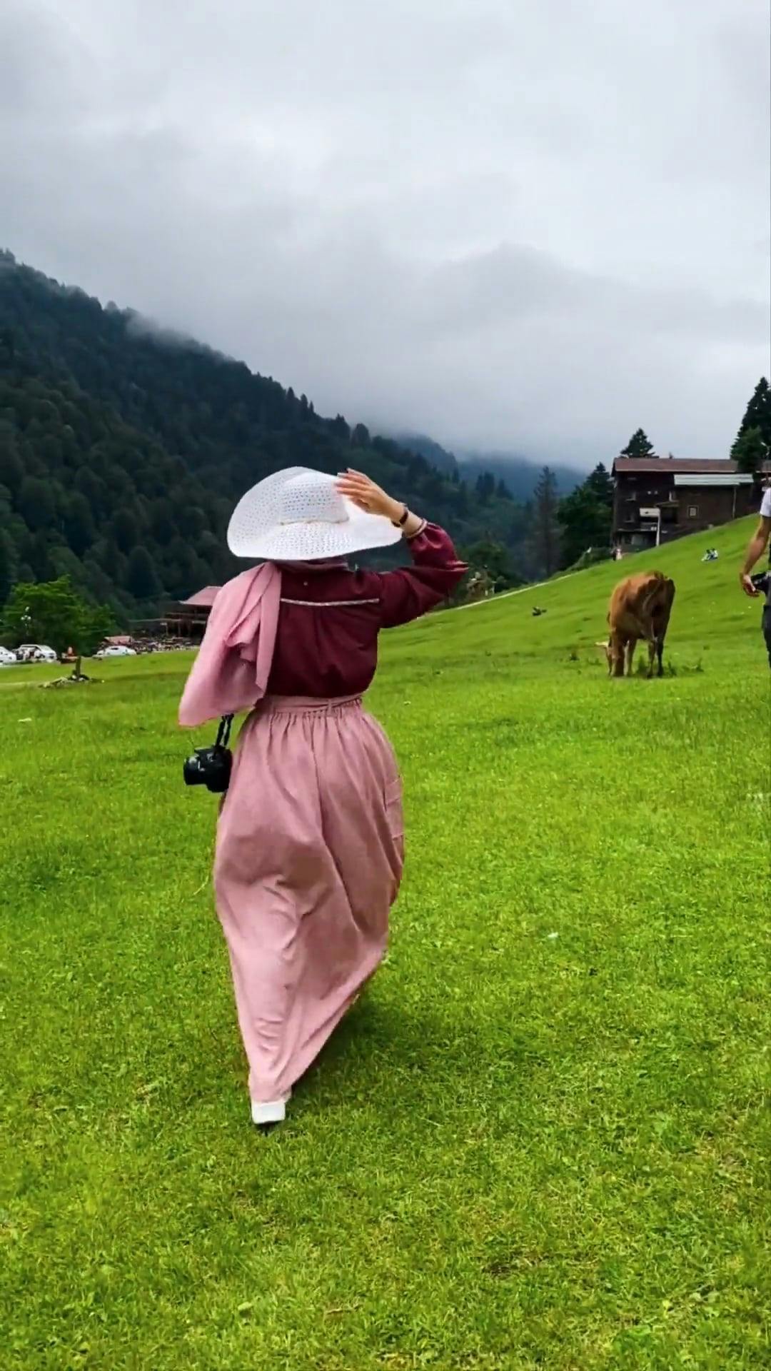 Cow Escaping Videos, Download The BEST Free 4k Stock Video Footage ...