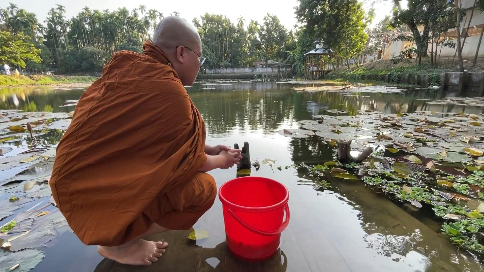 A monk in a robe is washing water in a pond Free Stock Video Footage ...