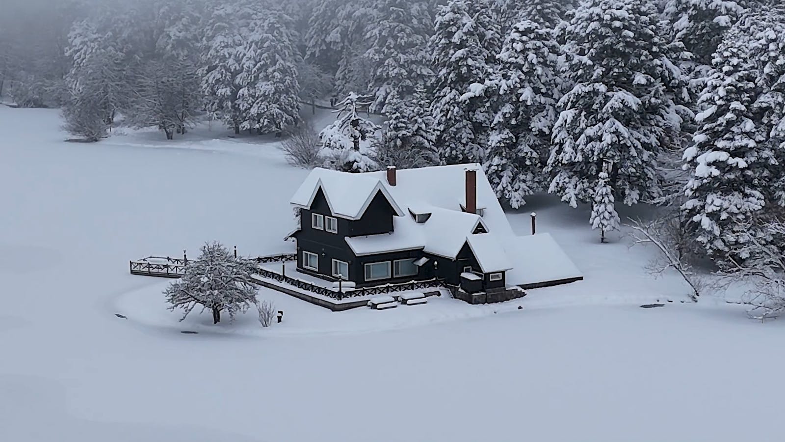 Cinematic Forest Videos, Download The BEST Free 4k Stock Video Footage ...