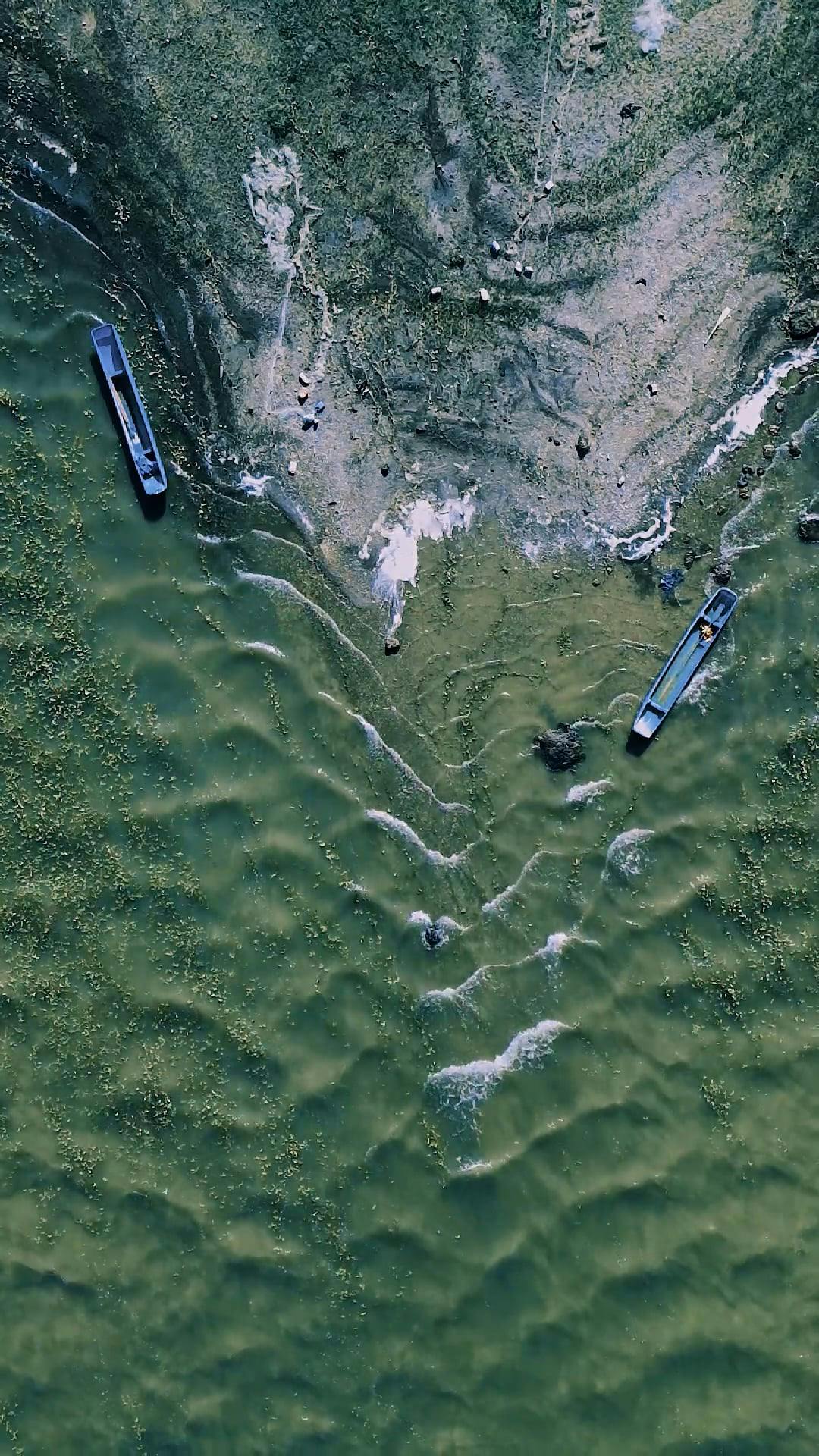 Shots Videos, Download The BEST Free 4k Stock Video Footage & Shots HD ...