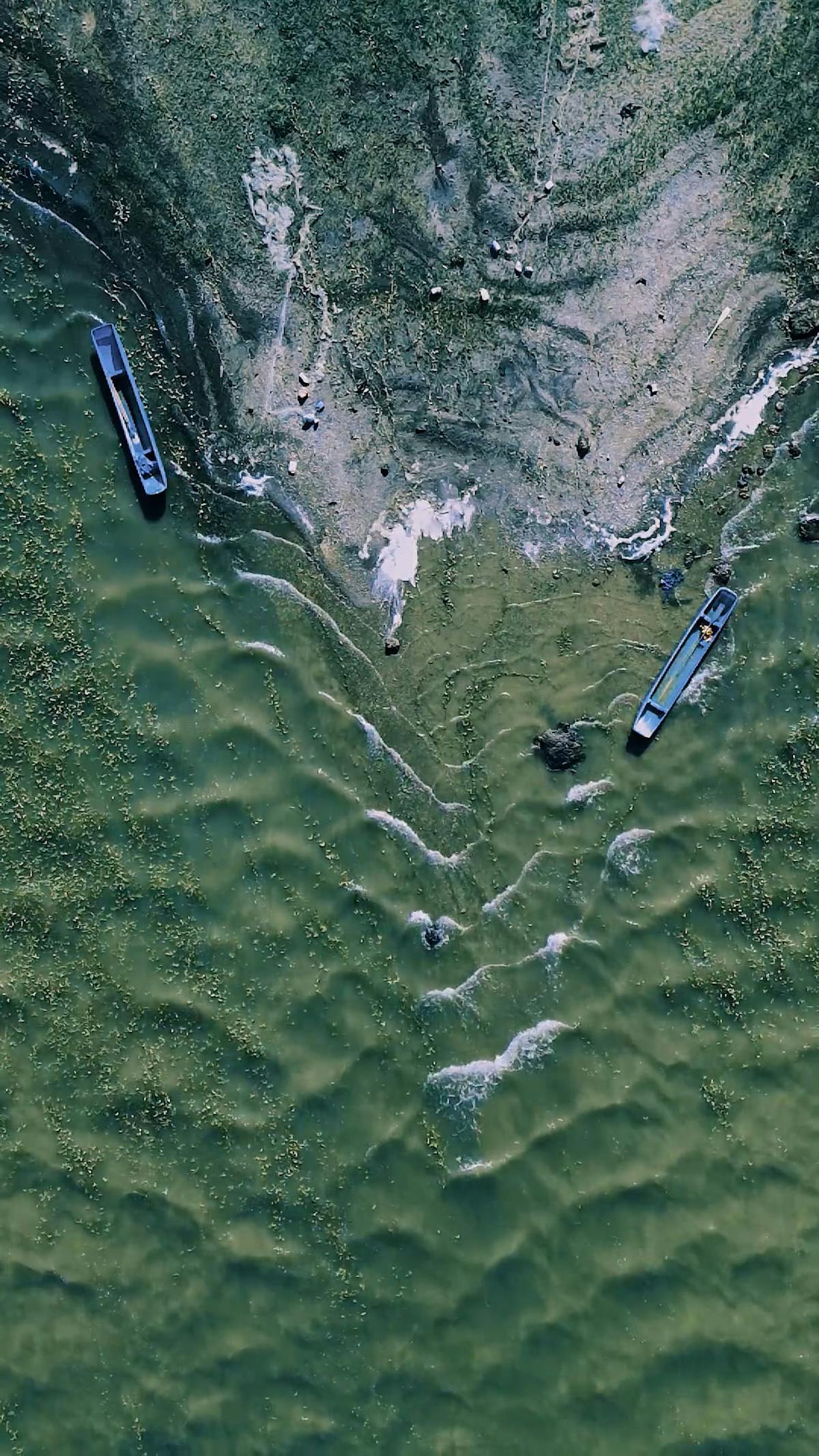 Nature Shots Videos, Download The BEST Free 4k Stock Video Footage ...