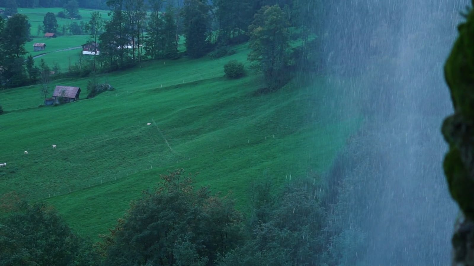 1,938+ Best Free Rain shower 4K Stock Video Footage & Royalty-Free HD ...