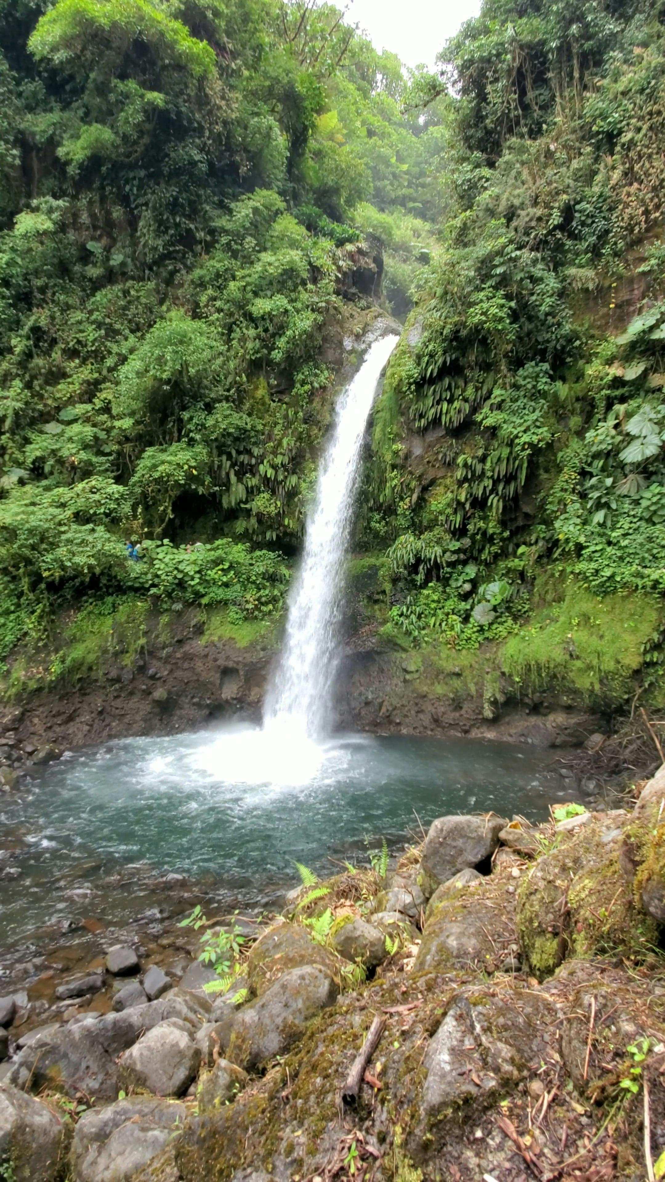 Waterfalls in Forest Free Stock Video Footage, Royalty-Free 4K & HD ...