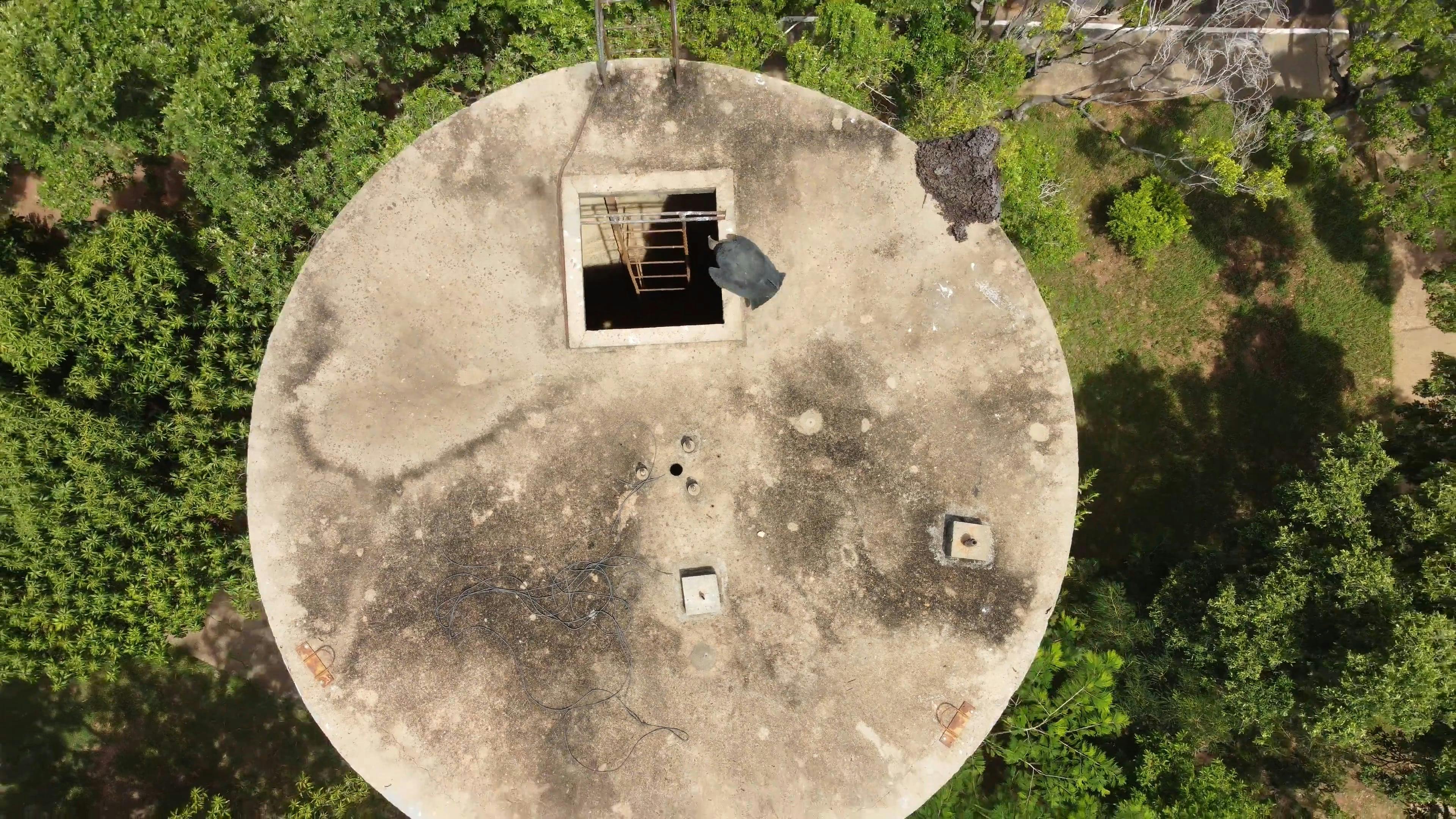 Overgrown Uk Videos, Download The BEST Free 4k Stock Video Footage ...