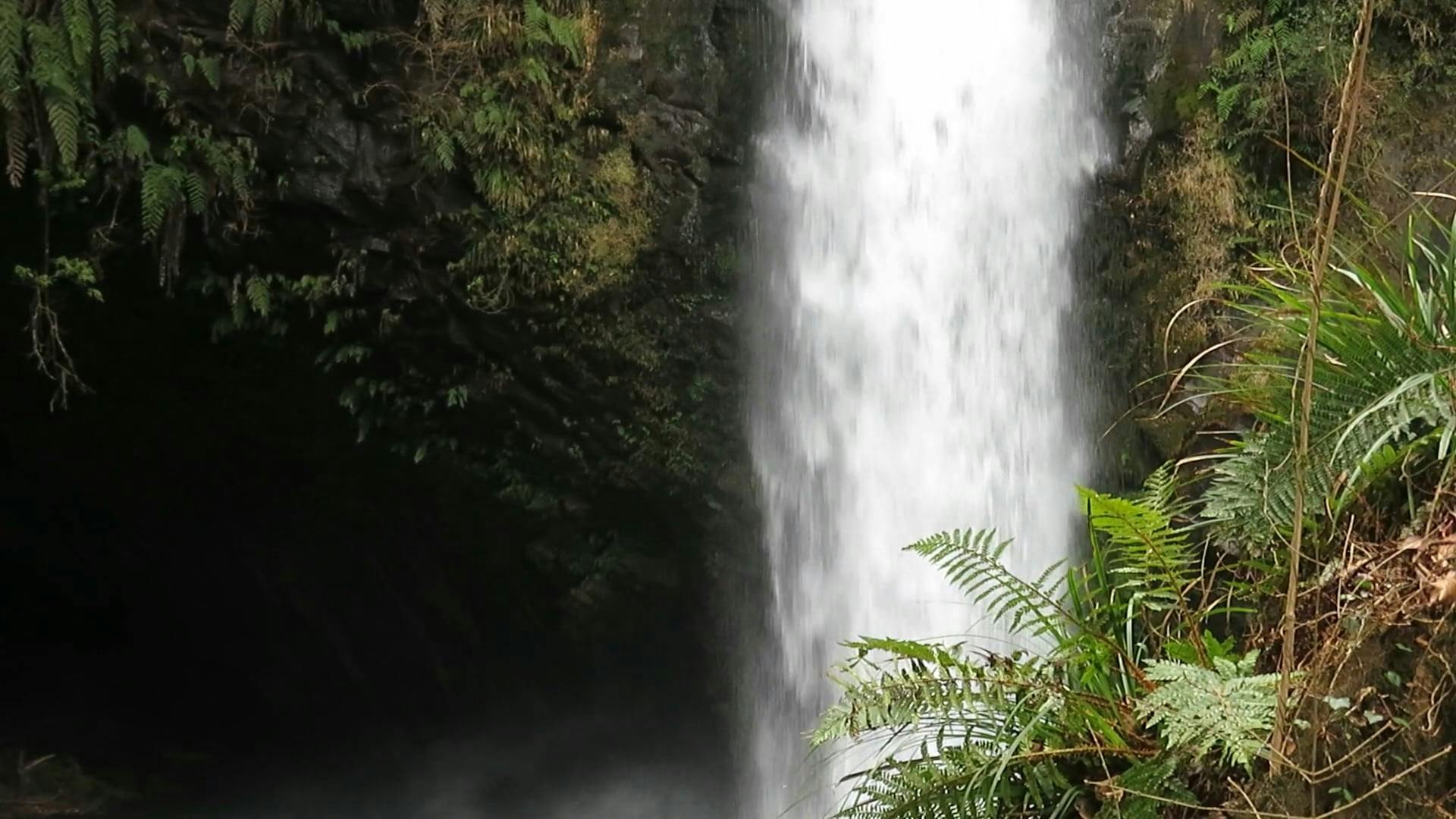 Father and Child Watching The Waterfalls Free Stock Video Footage ...