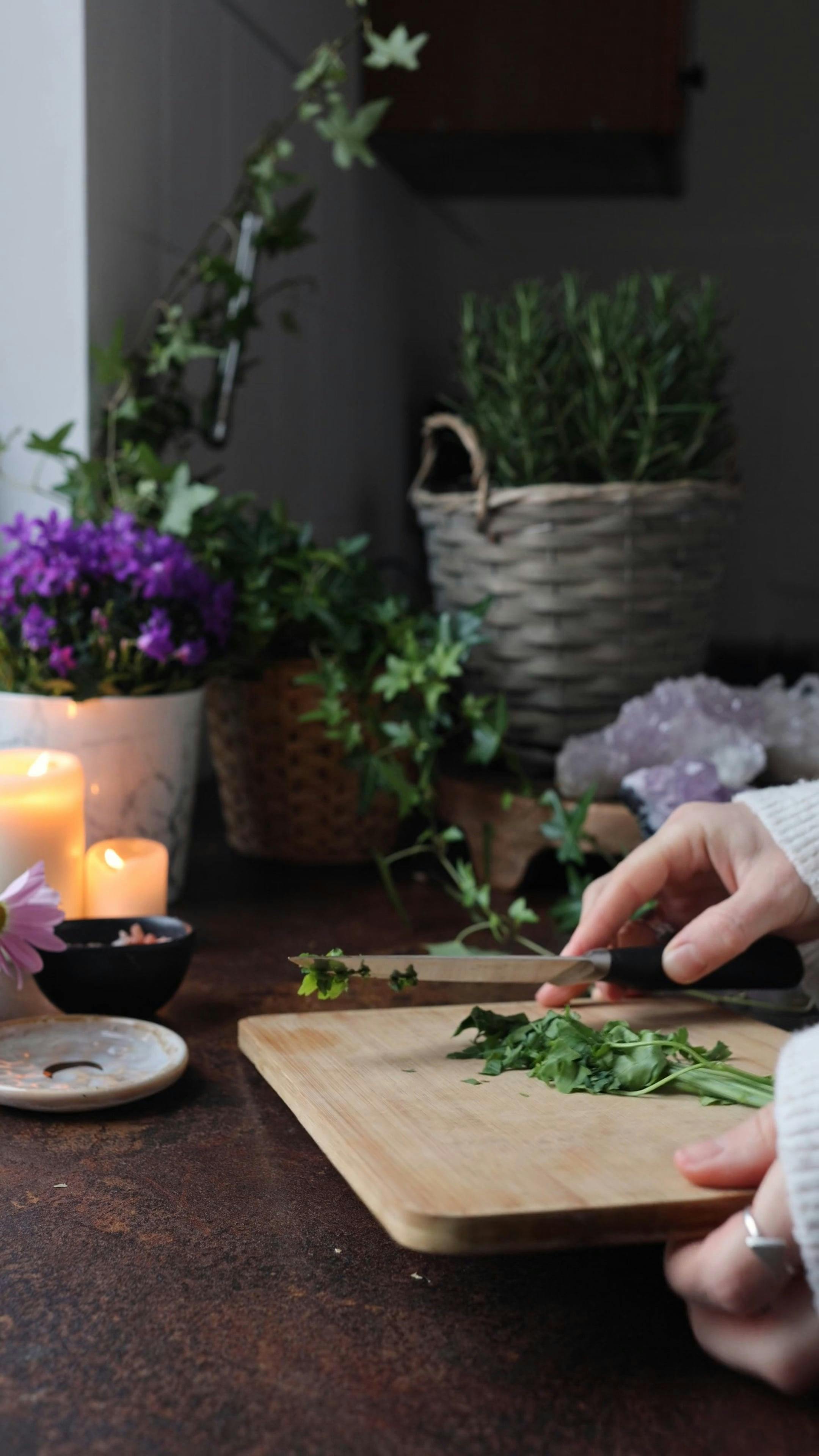 Cooking Flower Videos, Download The BEST Free 4k Stock Video Footage ...