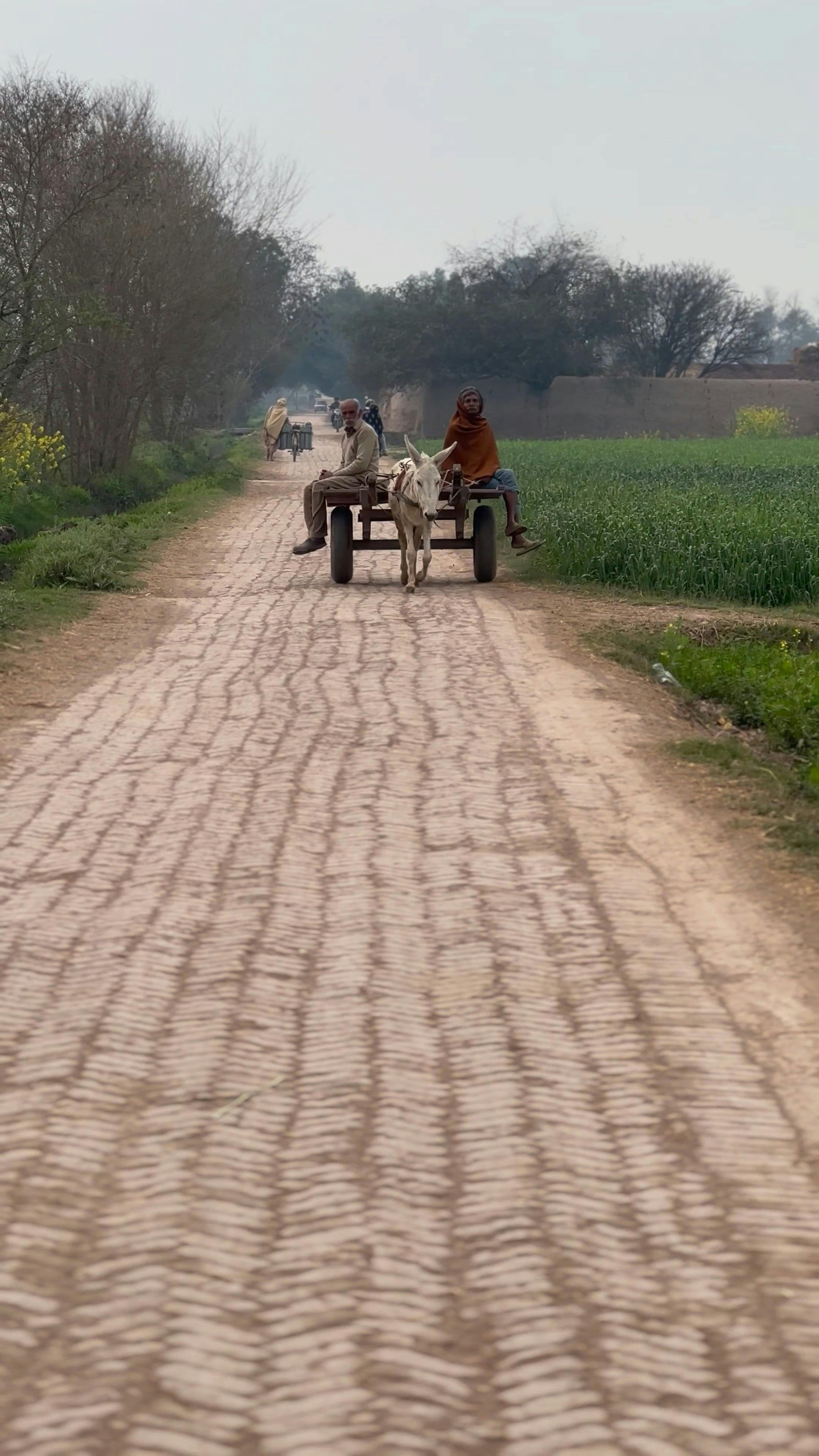 Wagon Driver Videos, Download The BEST Free 4k Stock Video Footage ...