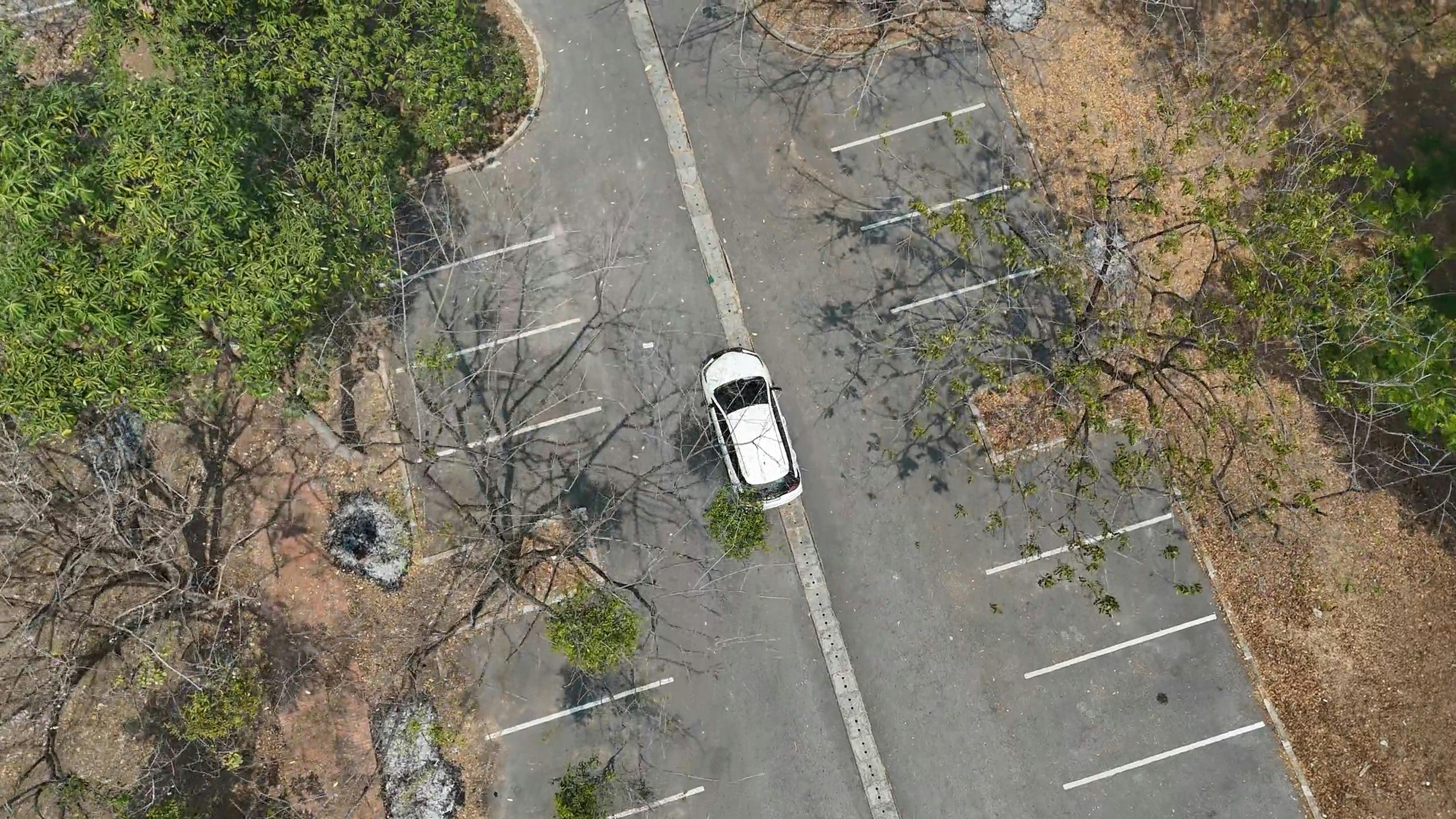 Path Paths Videos, Download The BEST Free 4k Stock Video Footage & Path ...