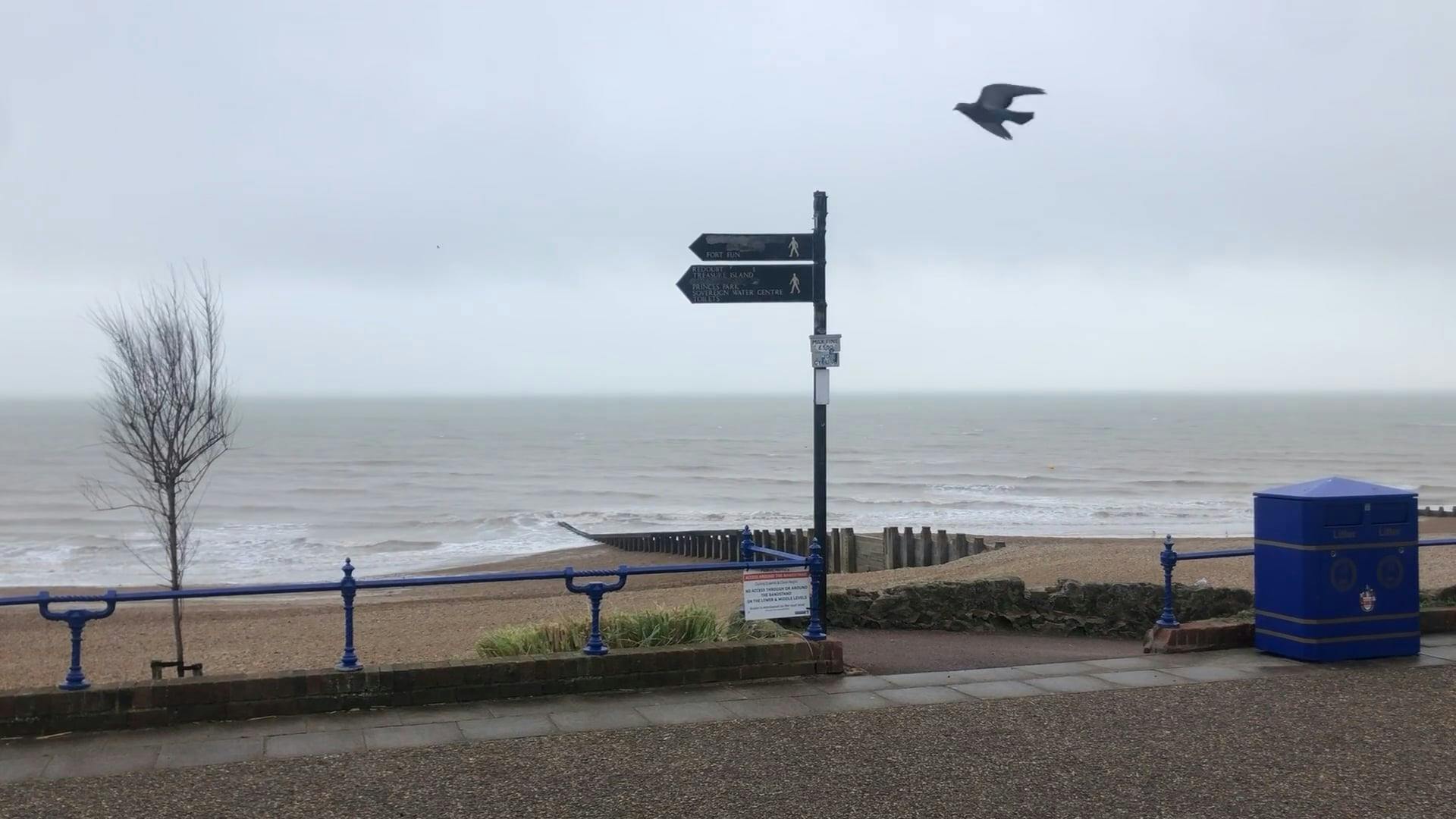 Windy Seaside Free Stock Video Footage, Royalty-Free 4K & HD Video Clip