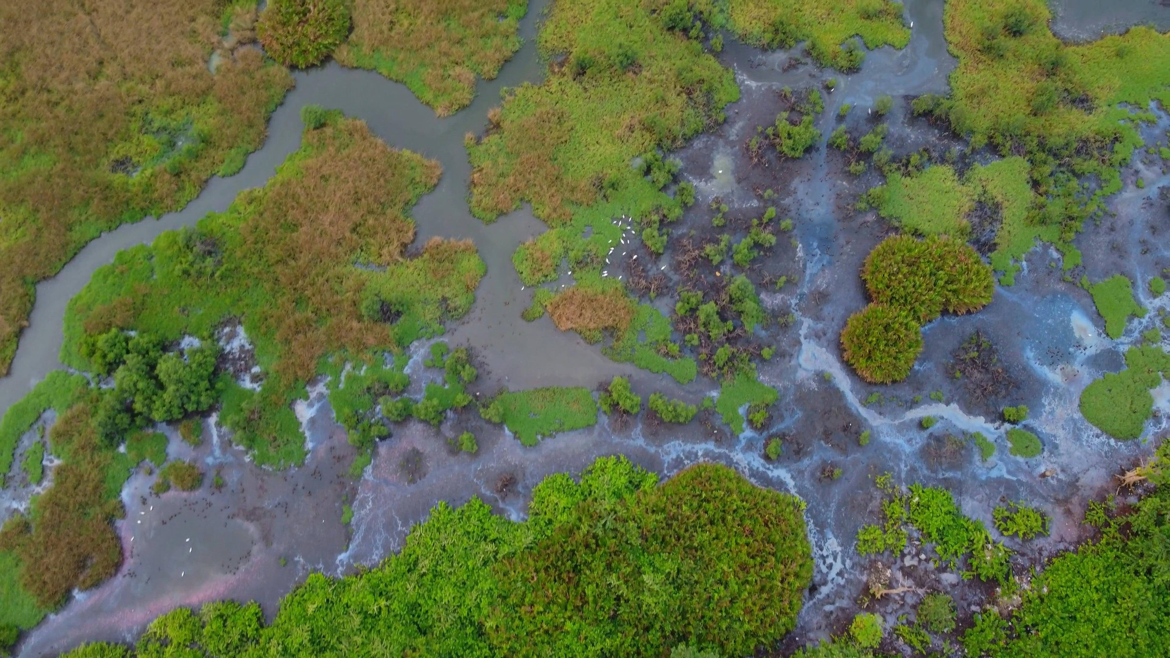Akoka Yaba Swamp, Lagos Nigeria Free Stock Video Footage, Royalty-Free ...