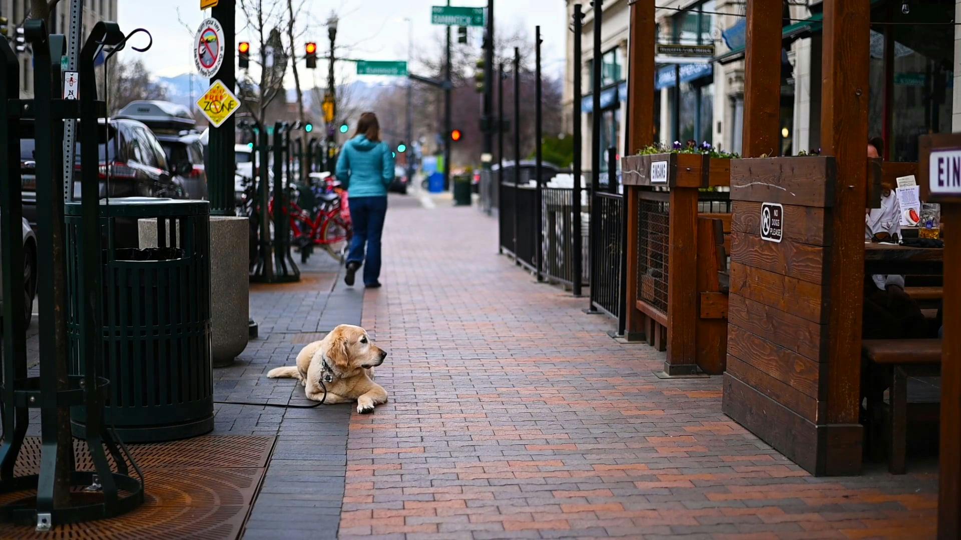 Anny Walker Videos, Download The BEST Free 4k Stock Video Footage ...