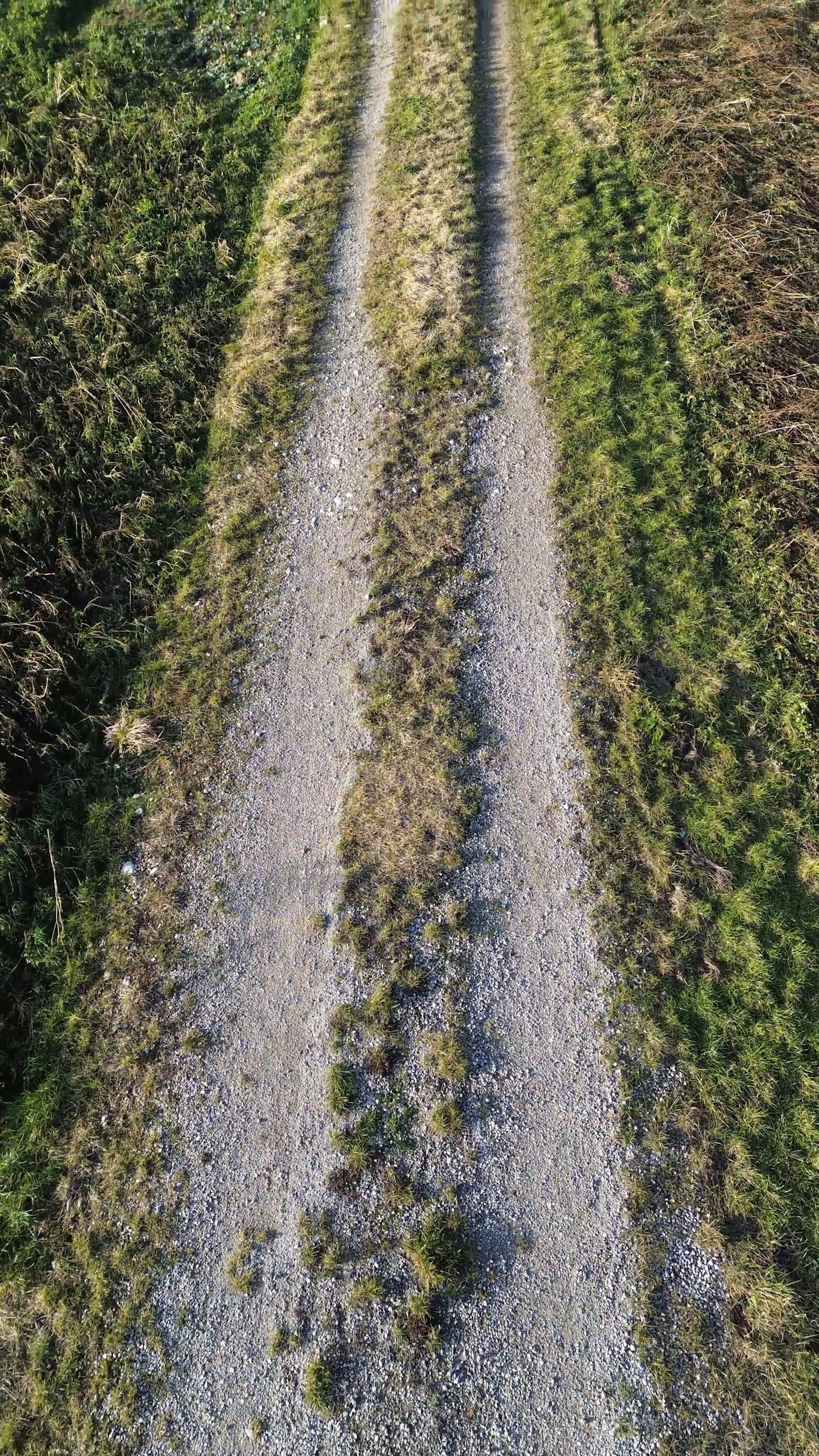 Short Video Nature Videos, Download The BEST Free 4k Stock Video ...