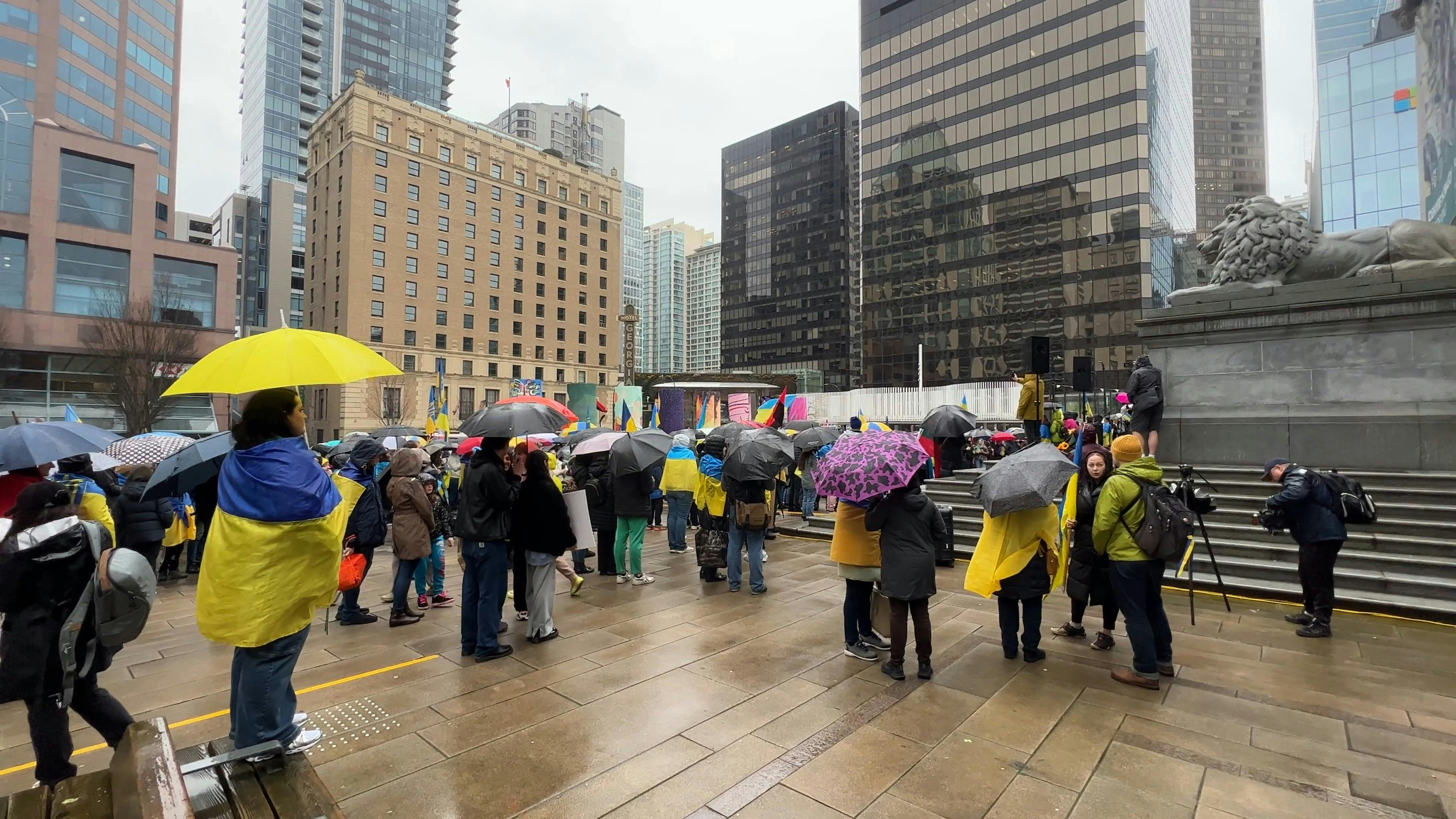 Rain Cause Videos, Download The BEST Free 4k Stock Video Footage & Rain ...