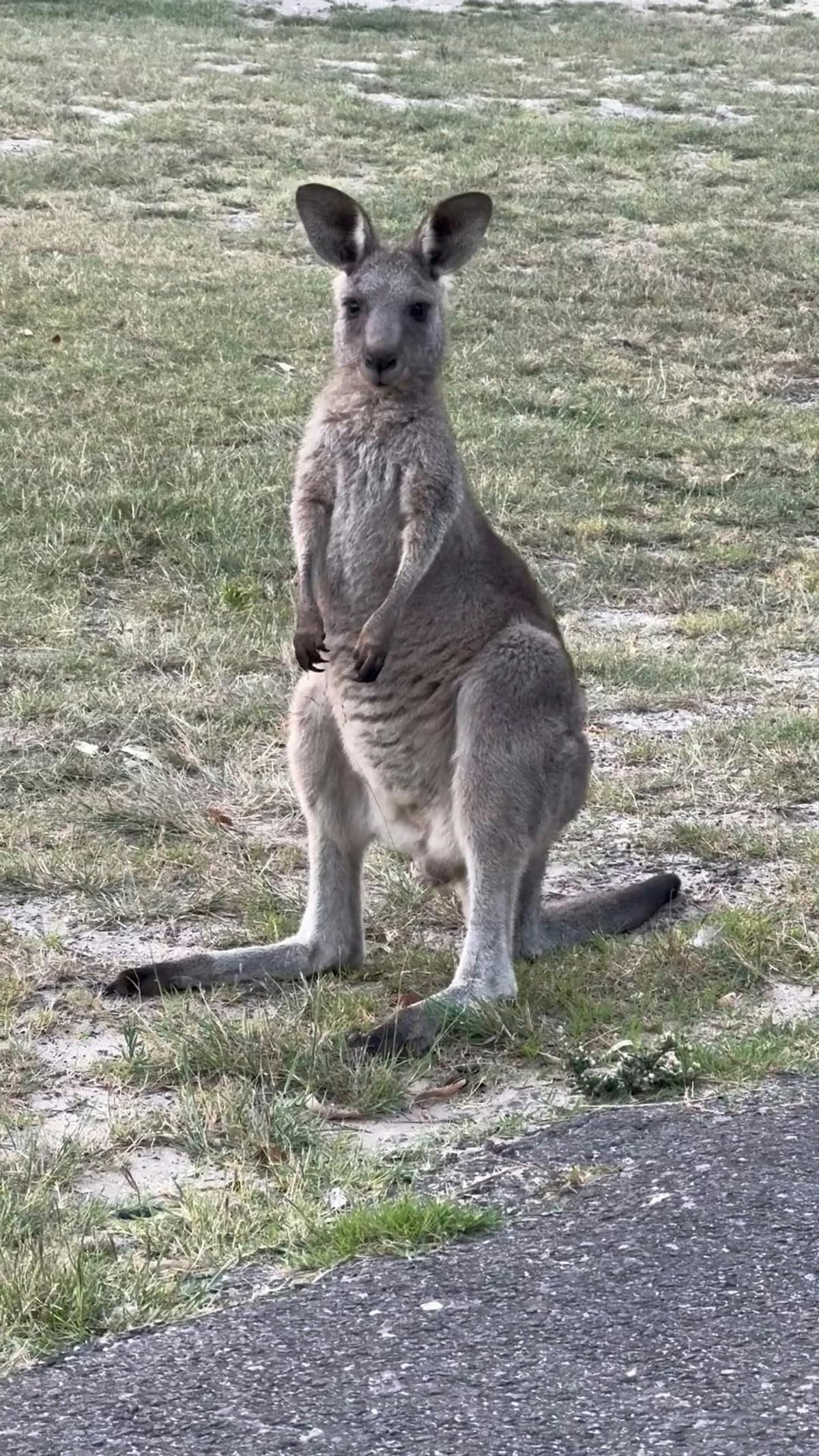 Free Stock Footage Videos, Download The BEST Free 4k Stock Video ...