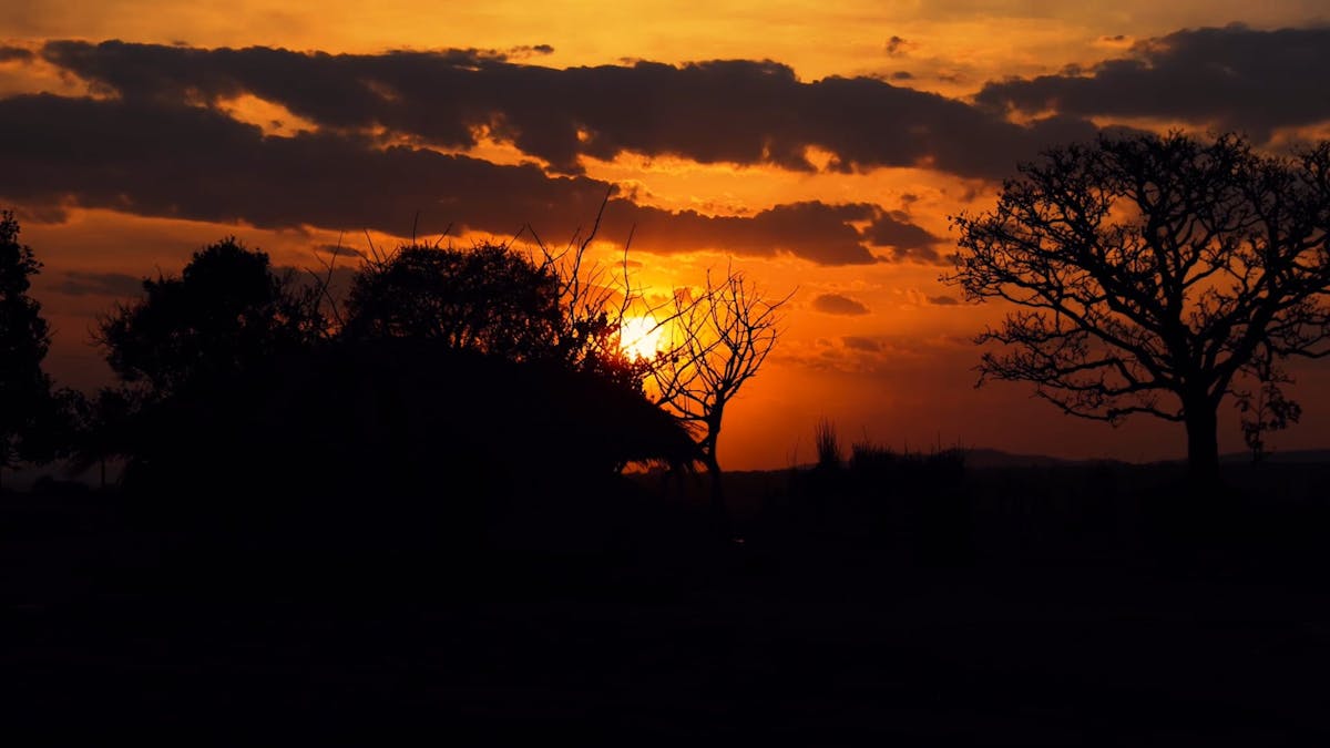 Decrease Videos, Download The BEST Free 4k Stock Video Footage & Decrease HD Video Clips