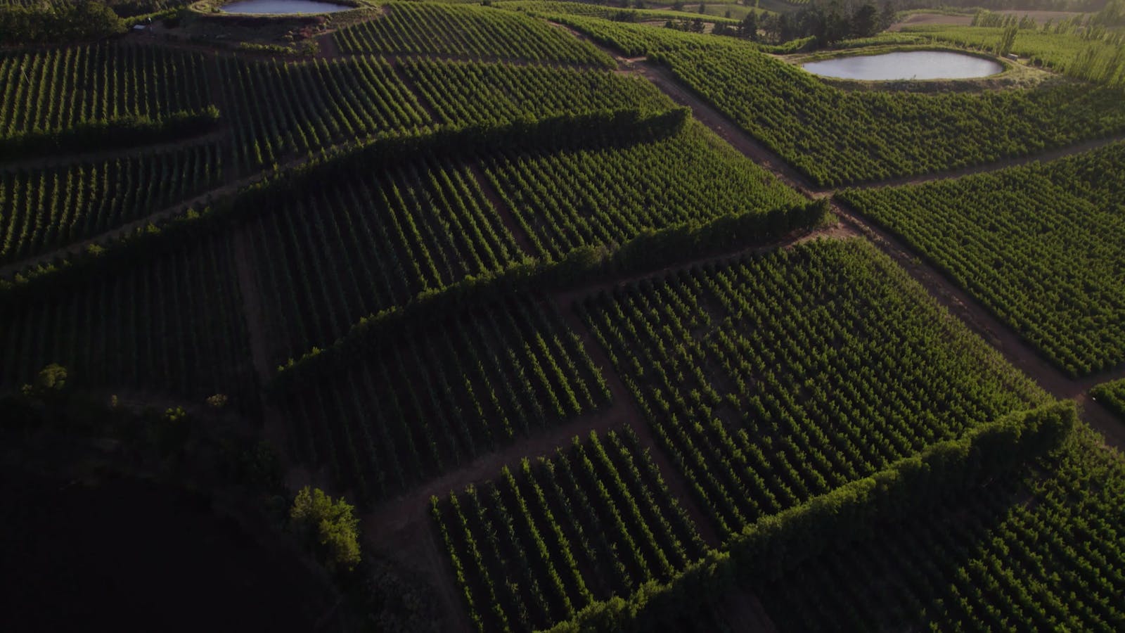 Land Chut Videos, Download The BEST Free 4k Stock Video Footage & Land ...