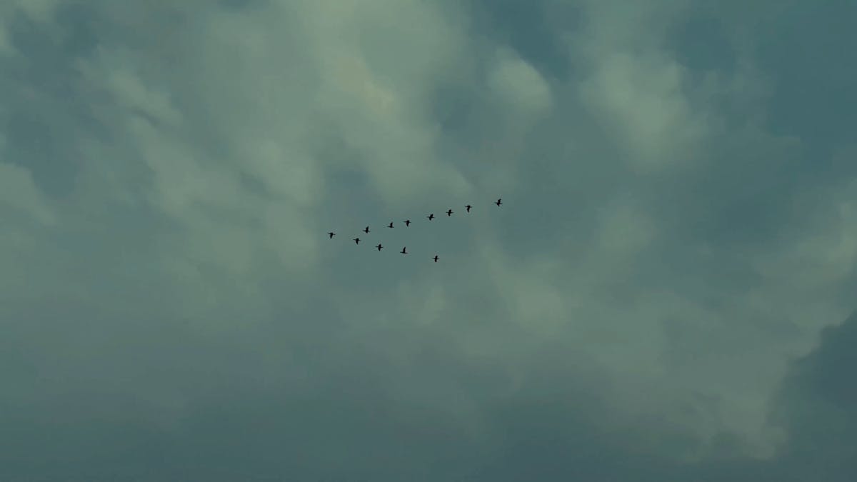 4k Videos Videos, Download The BEST Free 4k Stock Video Footage & 4k ...