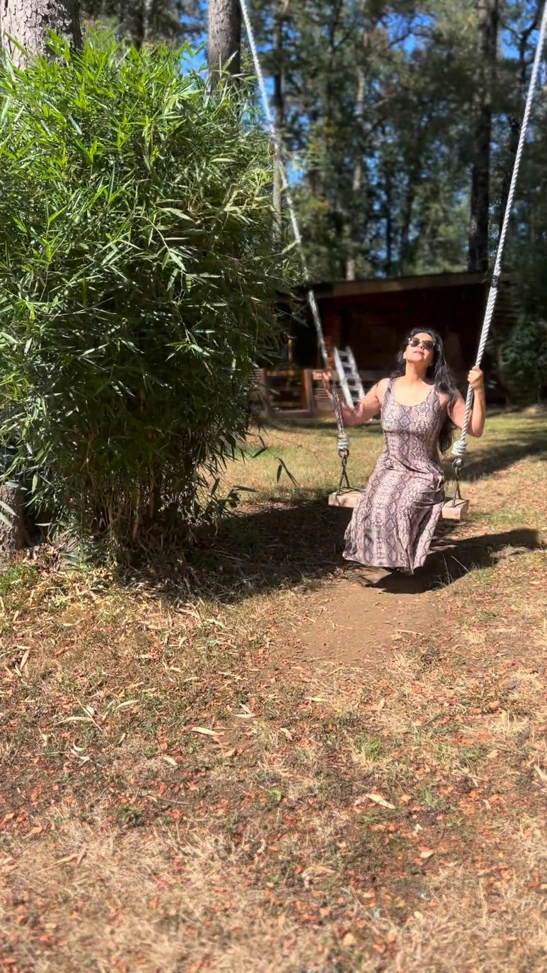 columpio bosque Free Stock Video Footage, Royalty-Free 4K & HD Video Clip