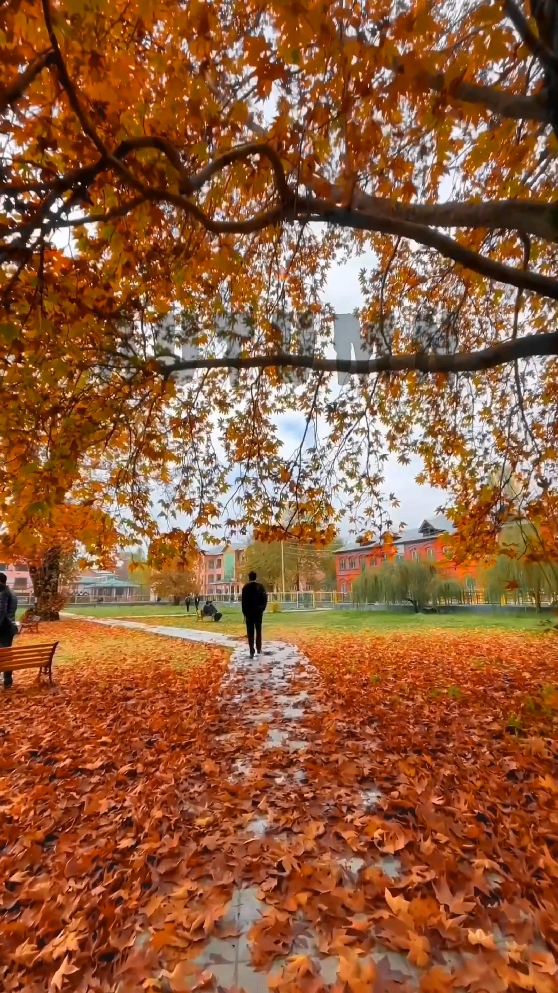 4k Background Videos Videos, Download The BEST Free 4k Stock Video ...