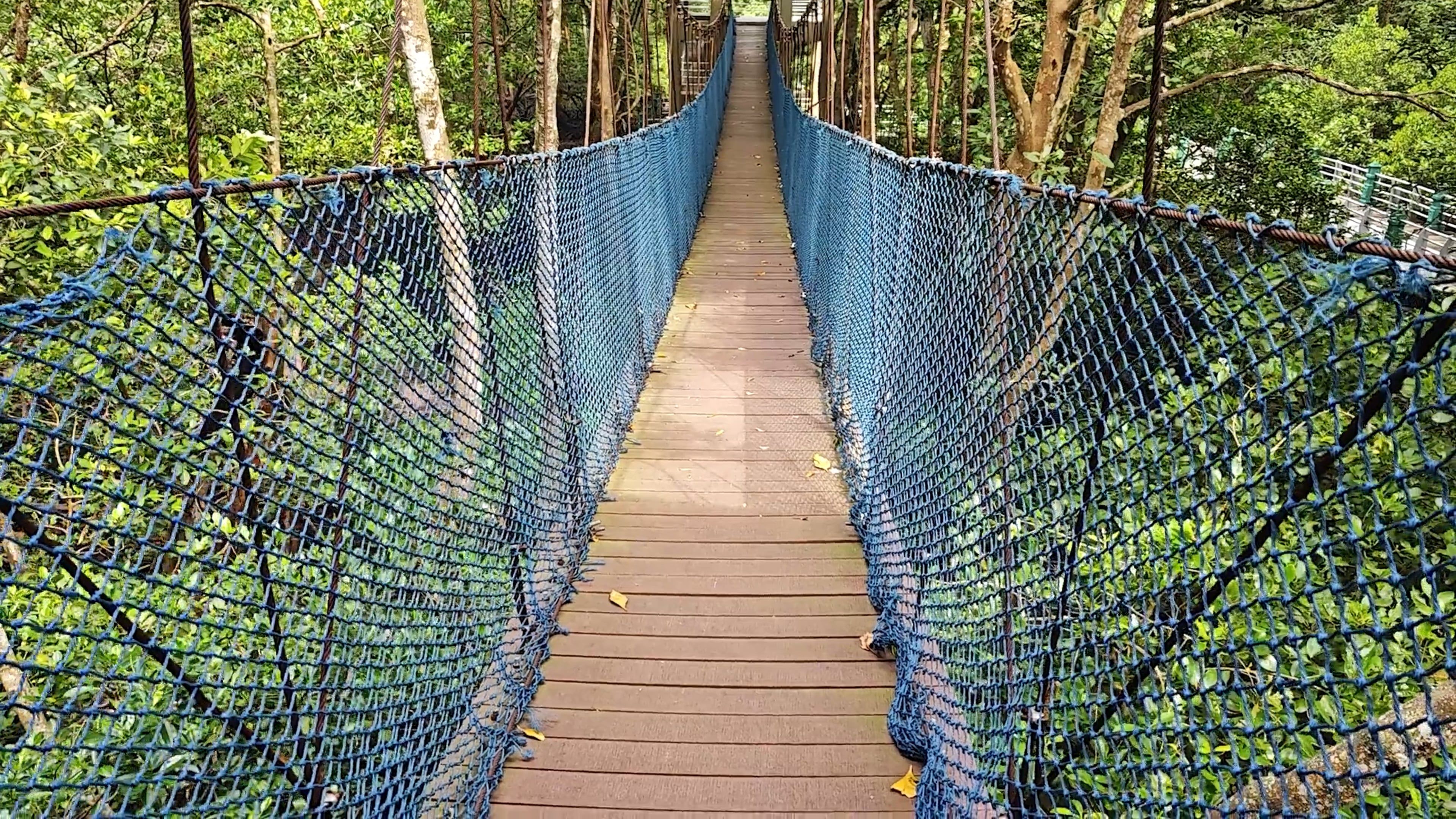 People Crossing a Hanging Bridge Free Stock Video Footage, Royalty-Free ...