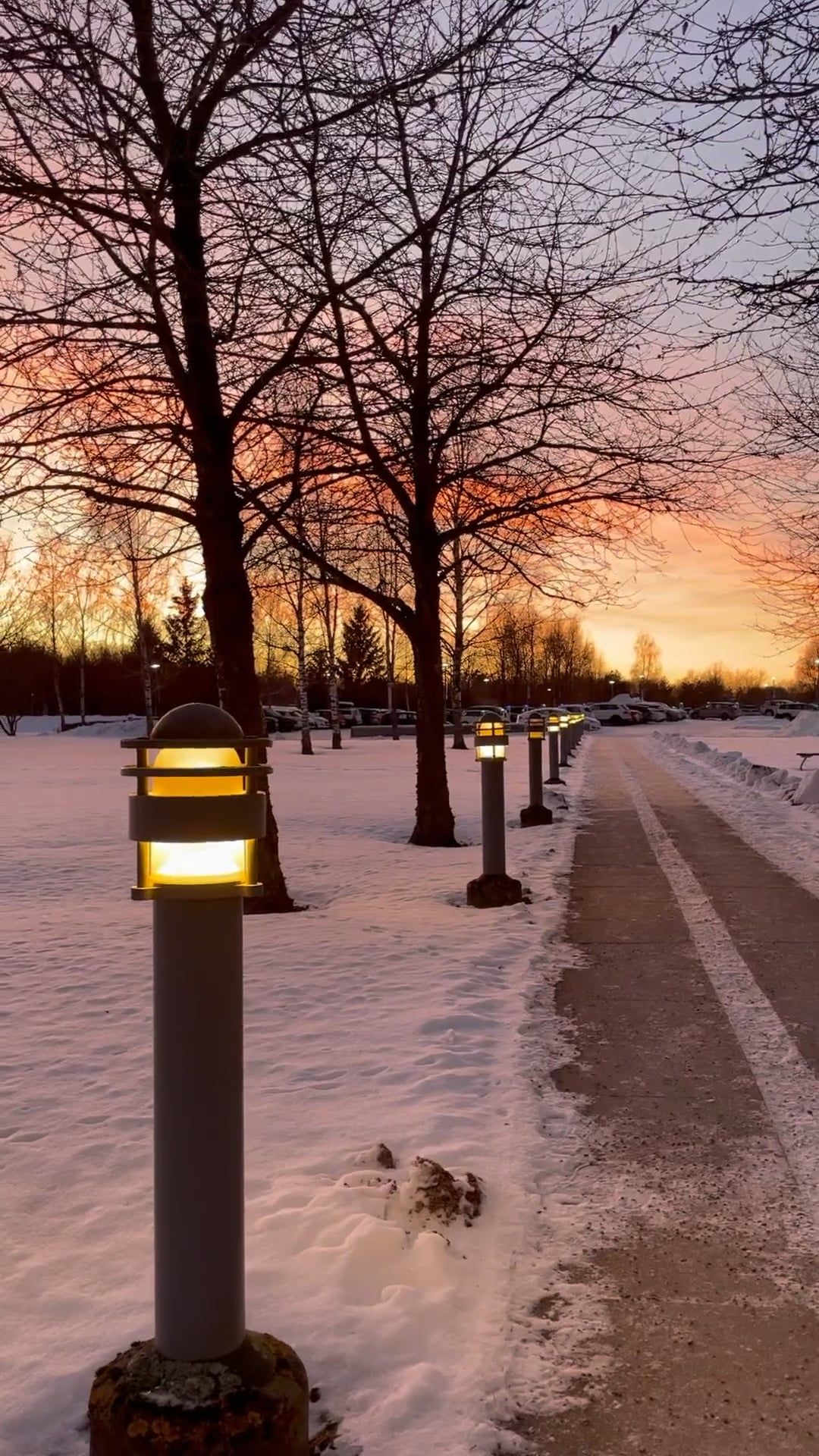 Winter Sunset Walk Free Stock Video Footage, Royalty-Free 4K & HD Video ...