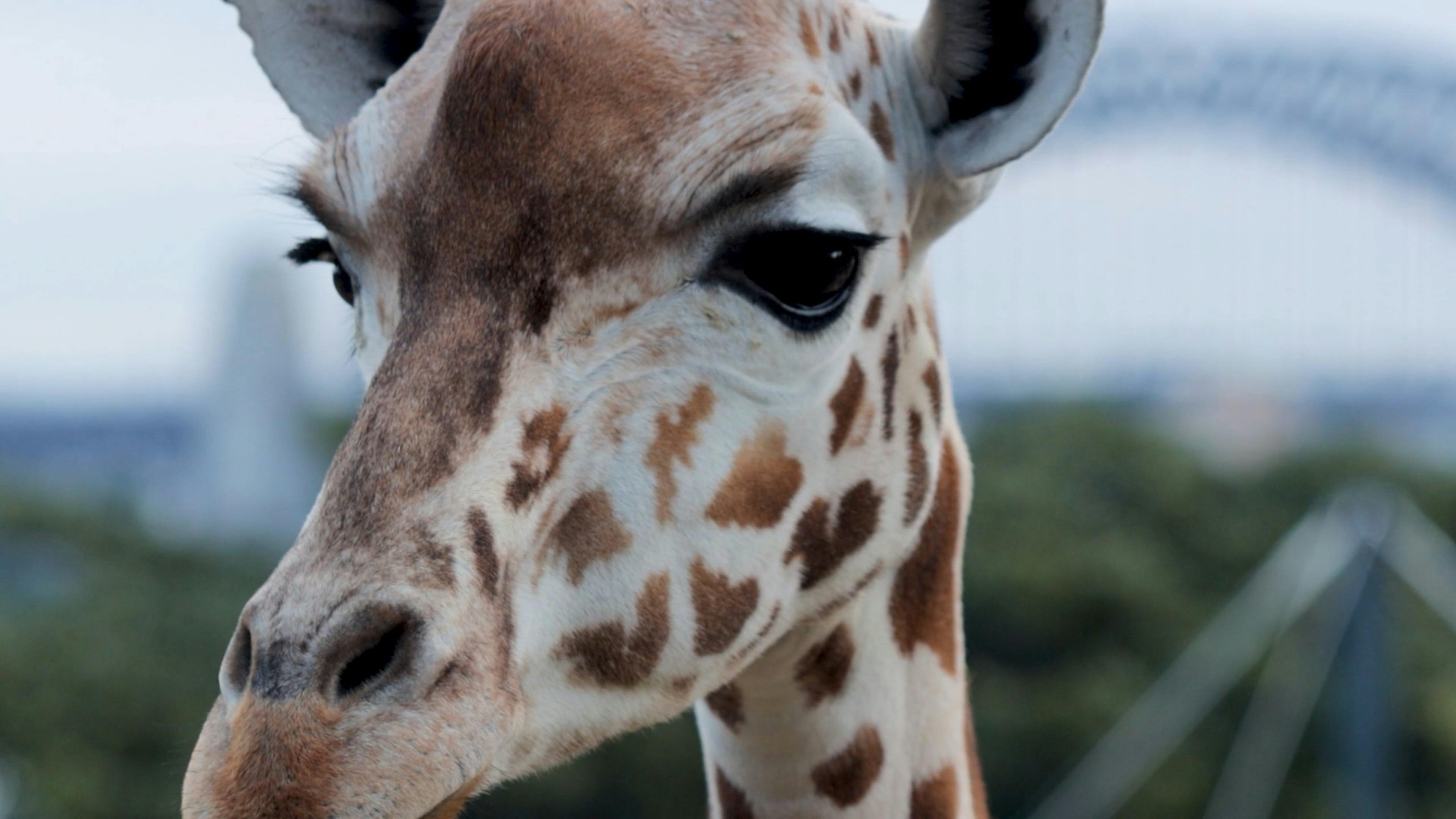 Face Spots Videos, Download The BEST Free 4k Stock Video Footage & Face ...