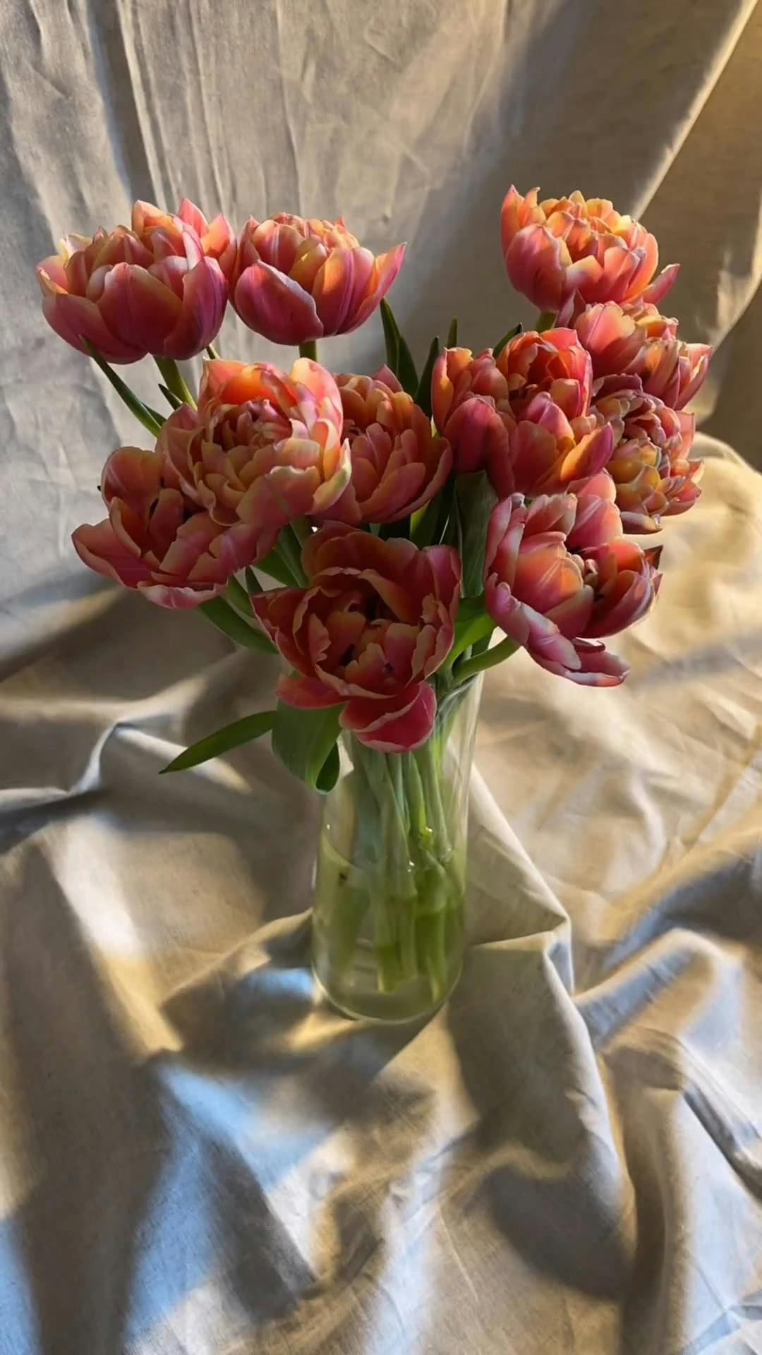 Flower Arrangement Stock Videos, Download The BEST Free 4k Stock Video ...