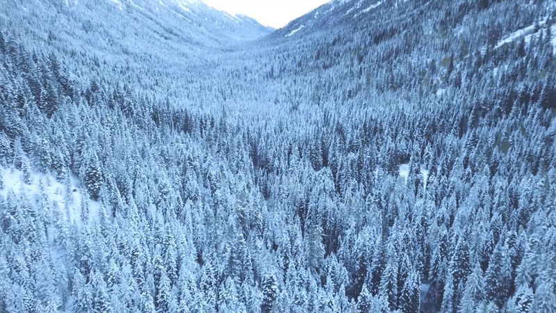 Snow Videos, Download The BEST Free 4k Stock Video Footage & Snow HD ...